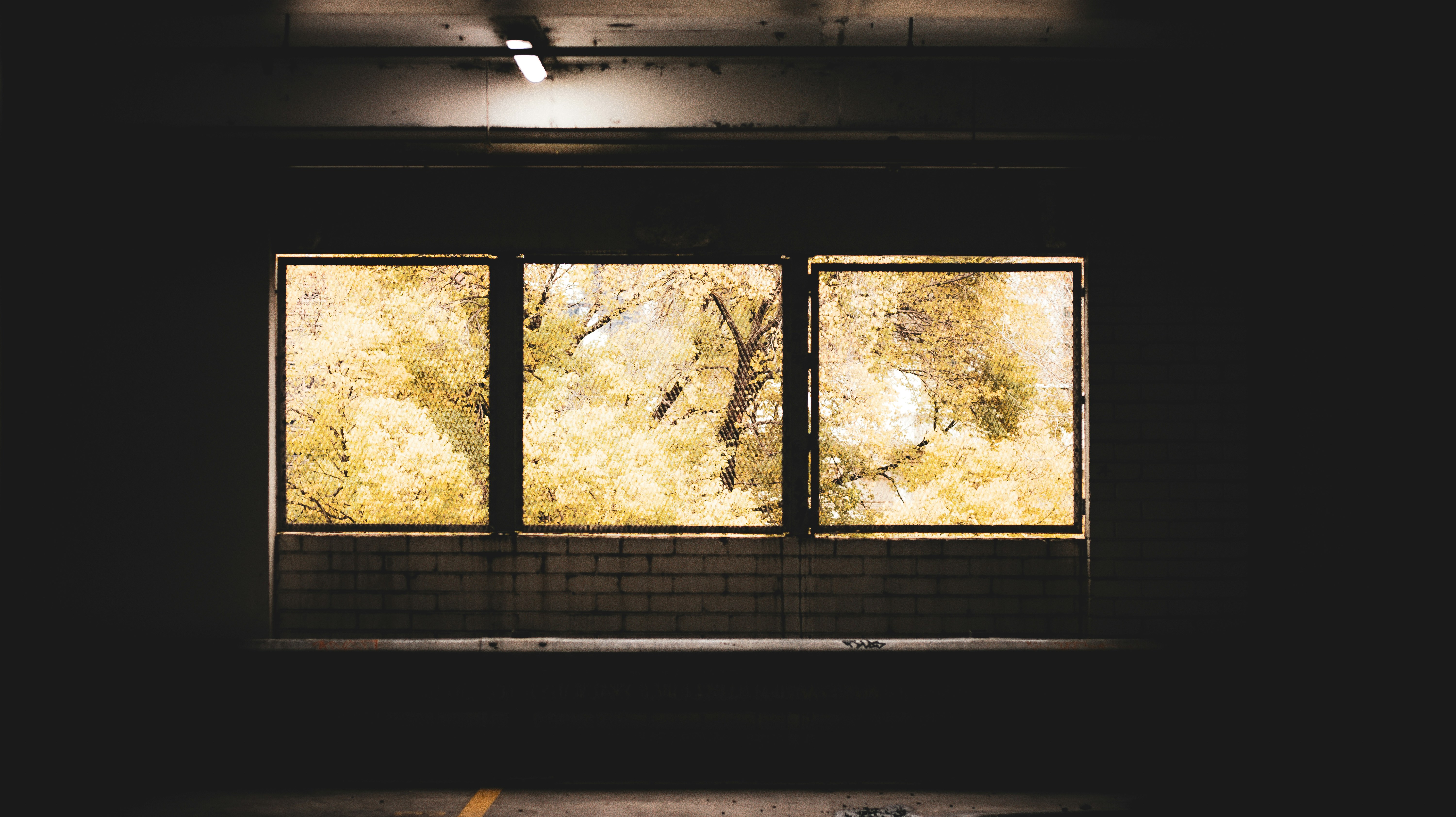 Sunlit Window Corridor: Autumn Light Breaching a Dim Interior