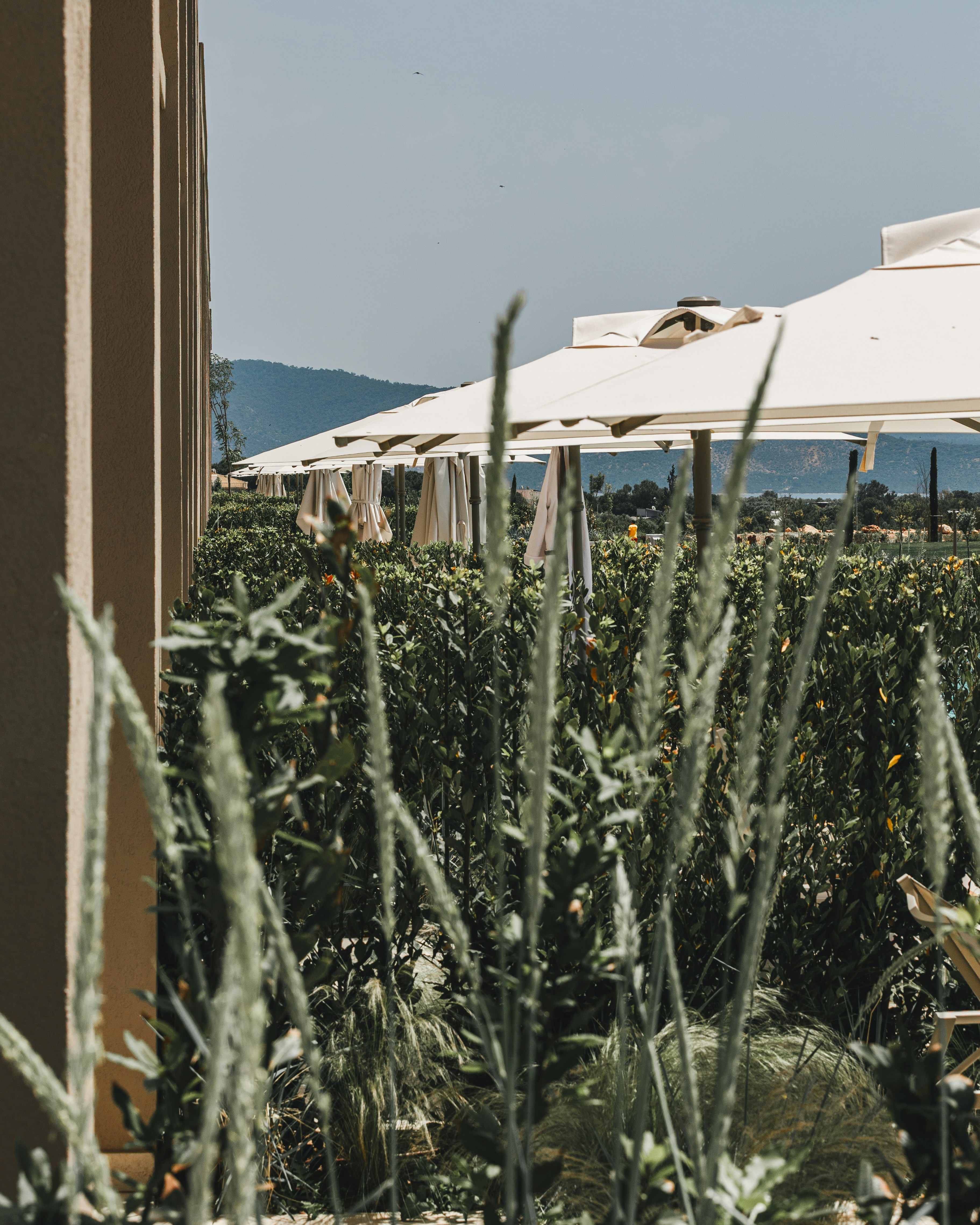 Sunlit Terrace with Distant Hills and Guarded Greenery