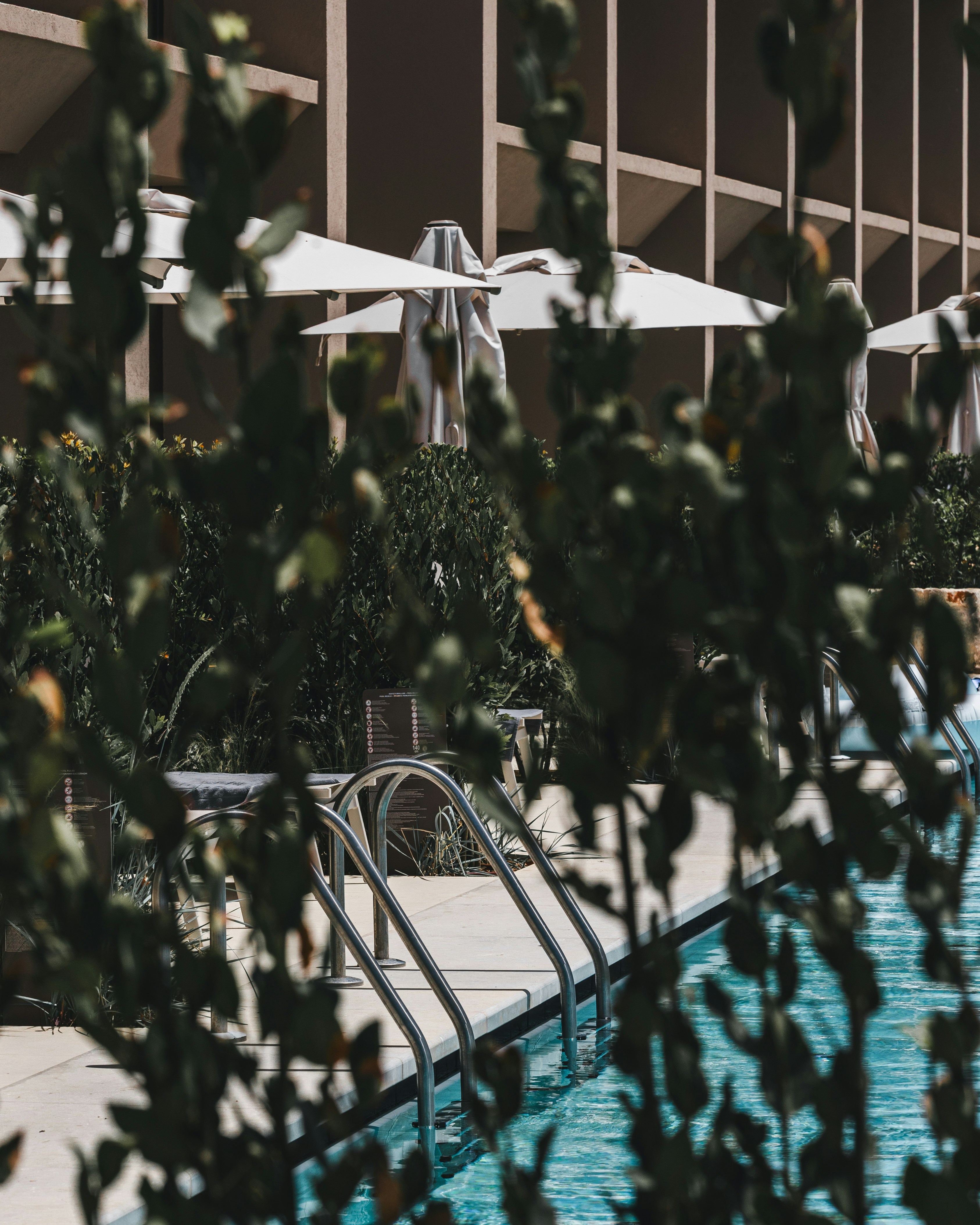 Framed by Foliage: Poolside Quiet Under White Canopies