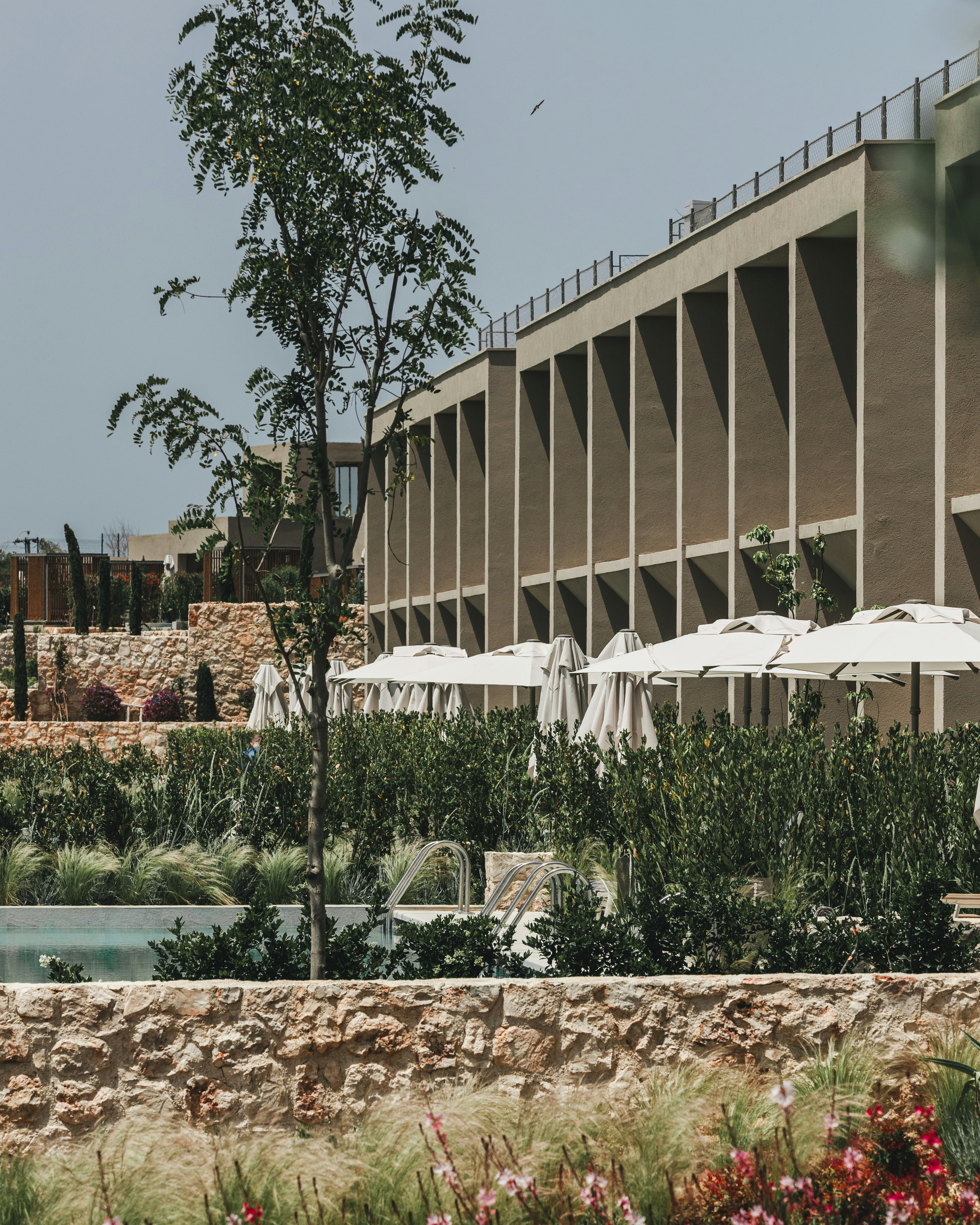 Shade and Structure by the Poolside Terrace