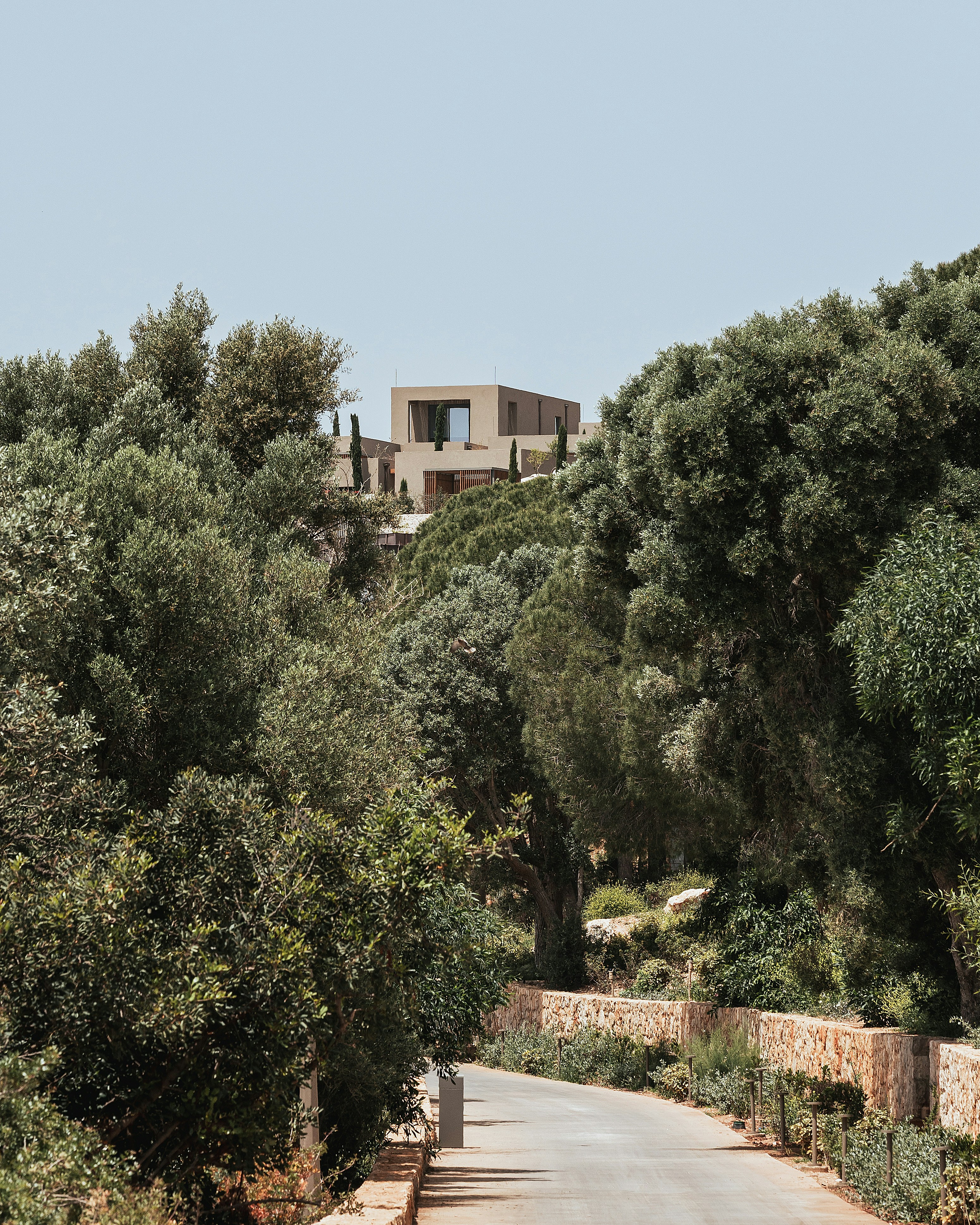 Hidden Modern Home Rising Above Carved Citrus Trees