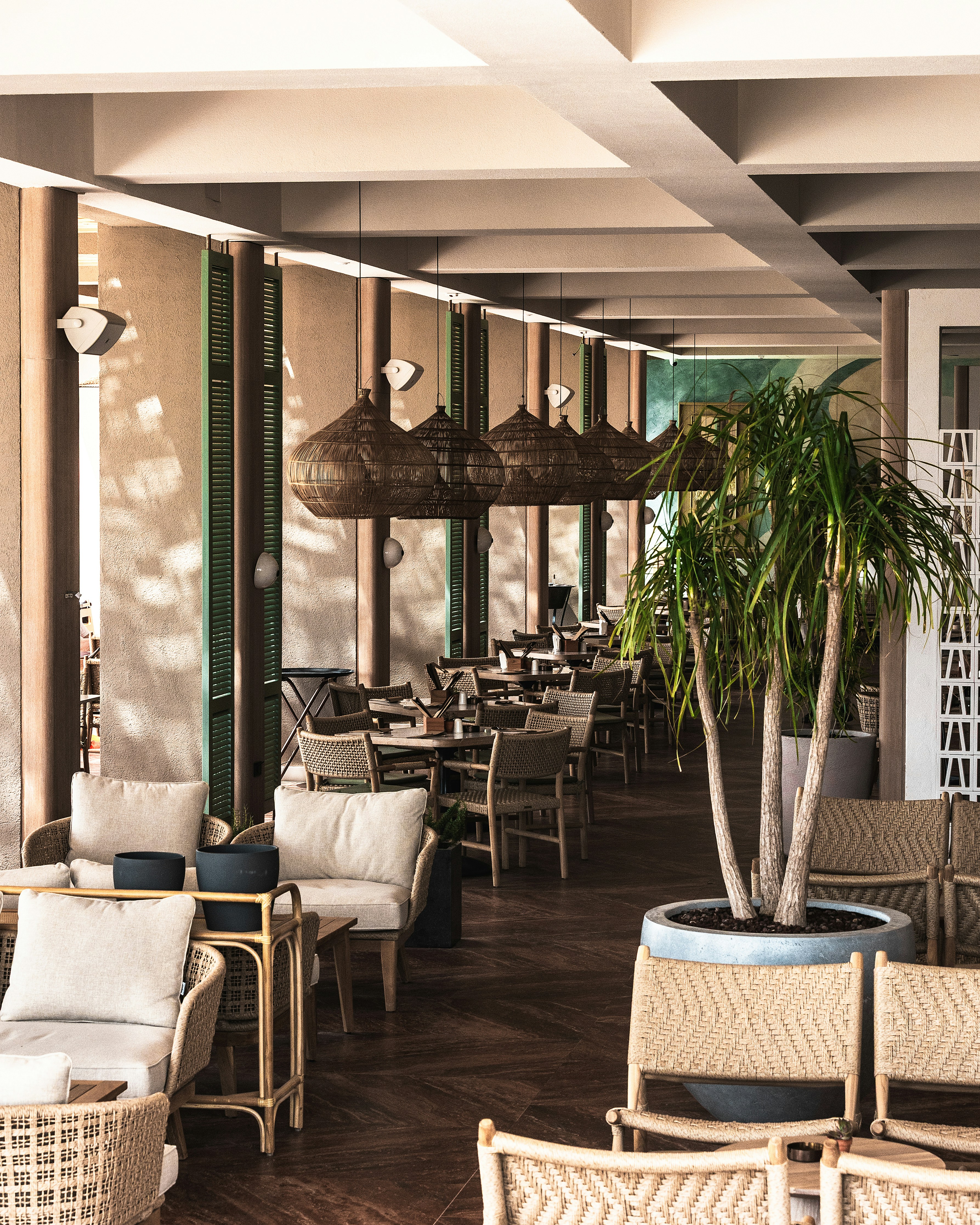 Sunlit Cocktail of Rattan and Greenery in a Modern Café