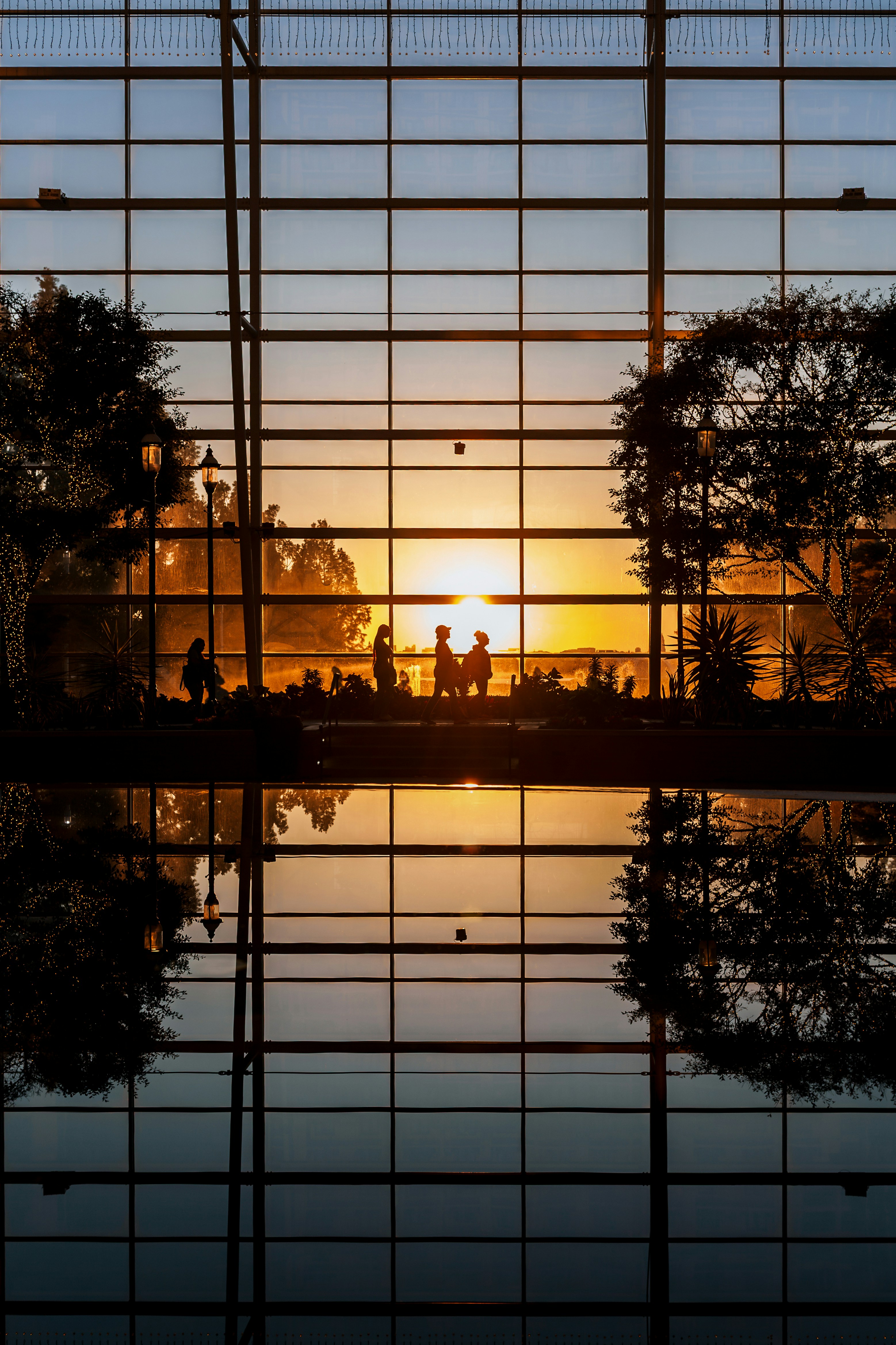Sunset silhouettes on a glass canopy