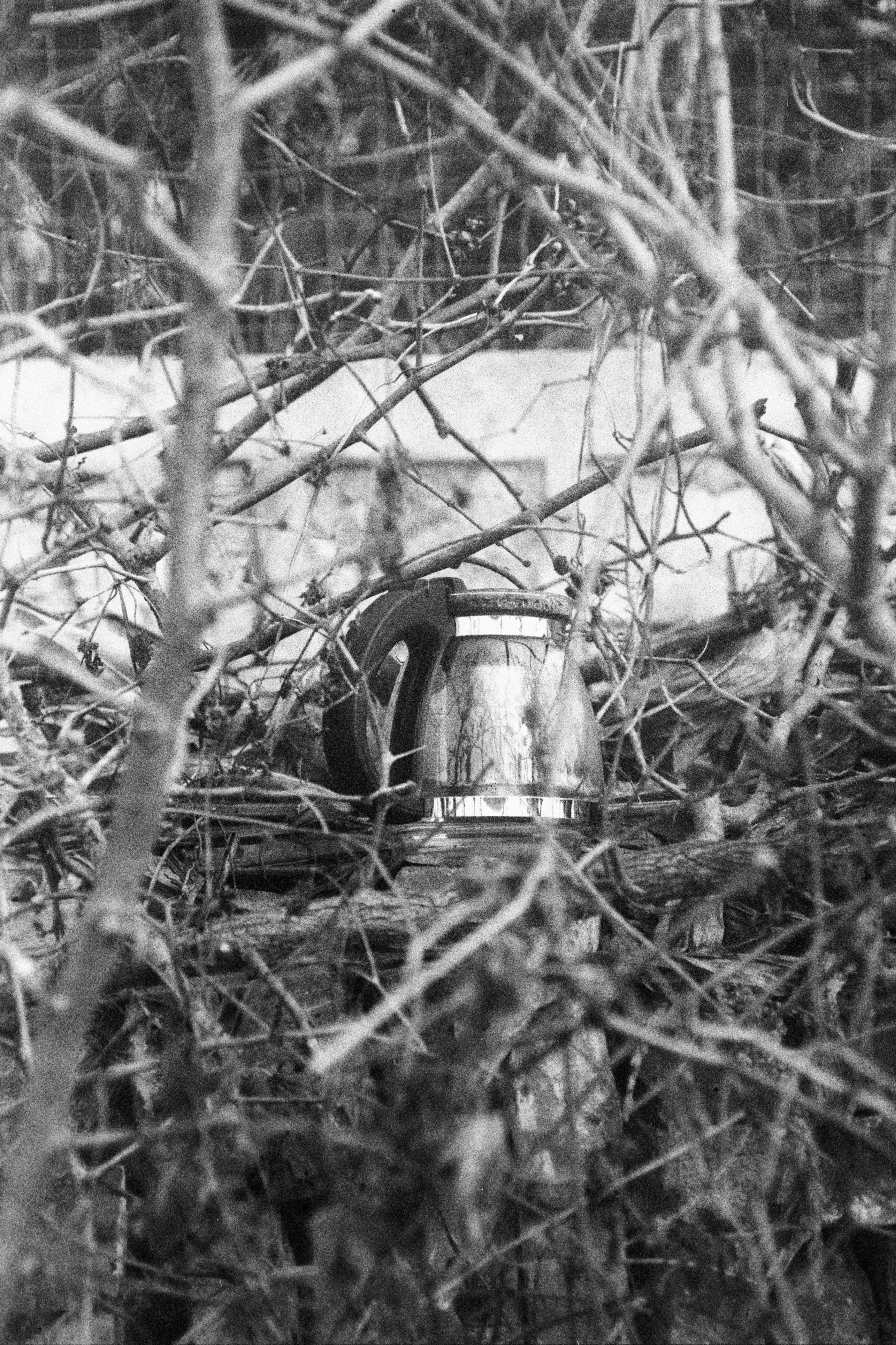 Misfit, shot with Nikon F4 and ERA 100 (FF)