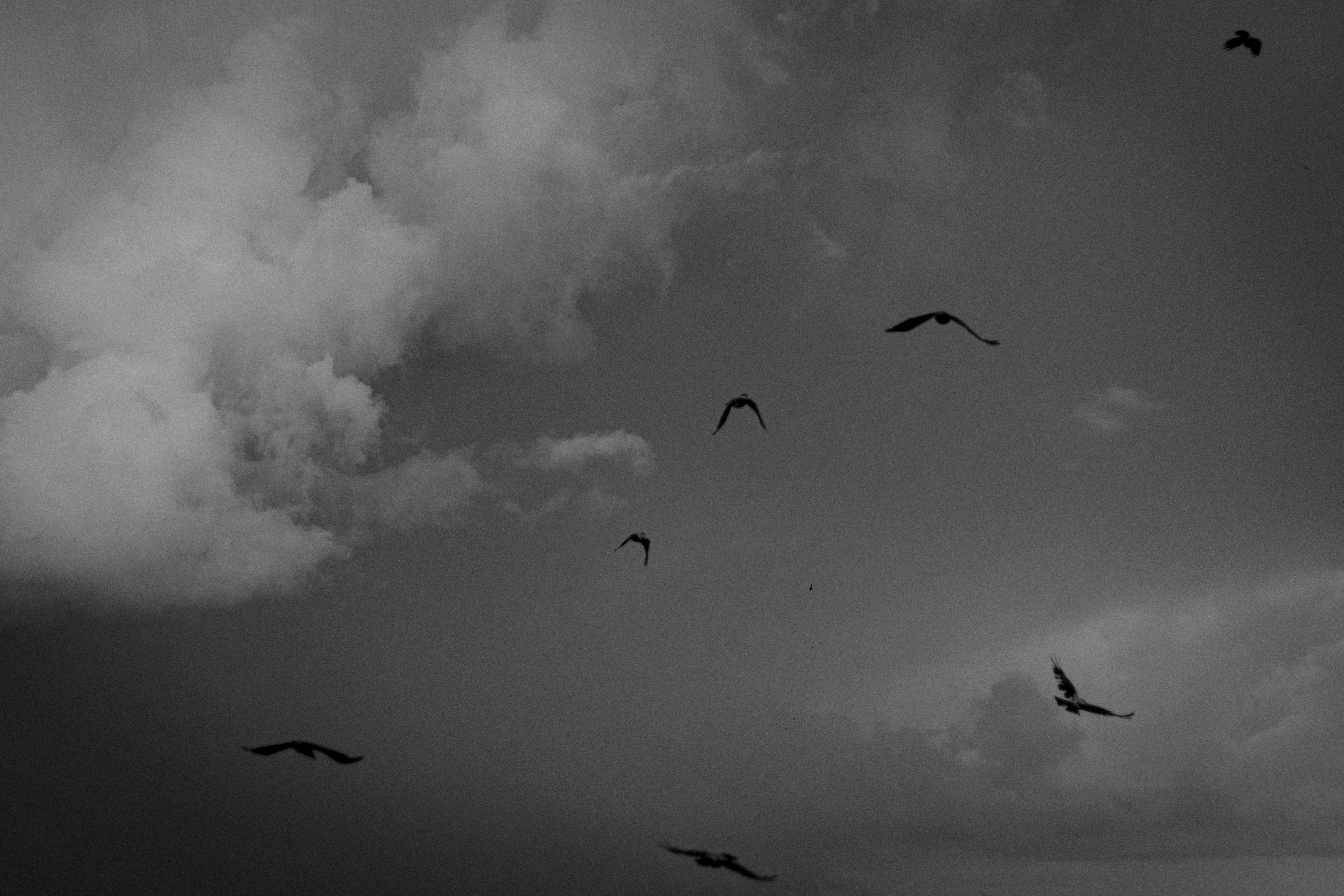 Flight Path Through Chalky Skies