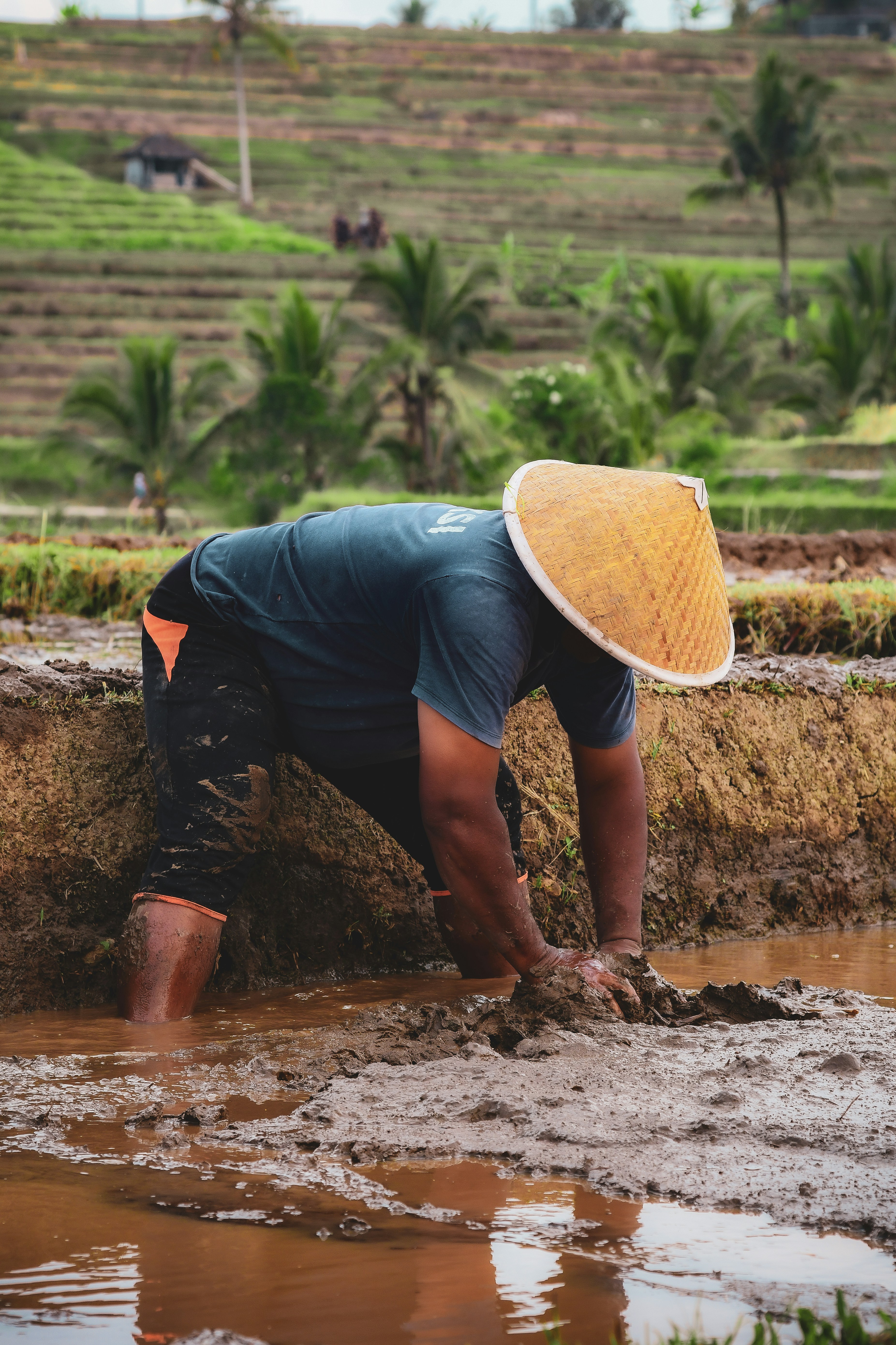 Mud-splashed laborer in a terraced field, kneeling at the edge of a flooded plot