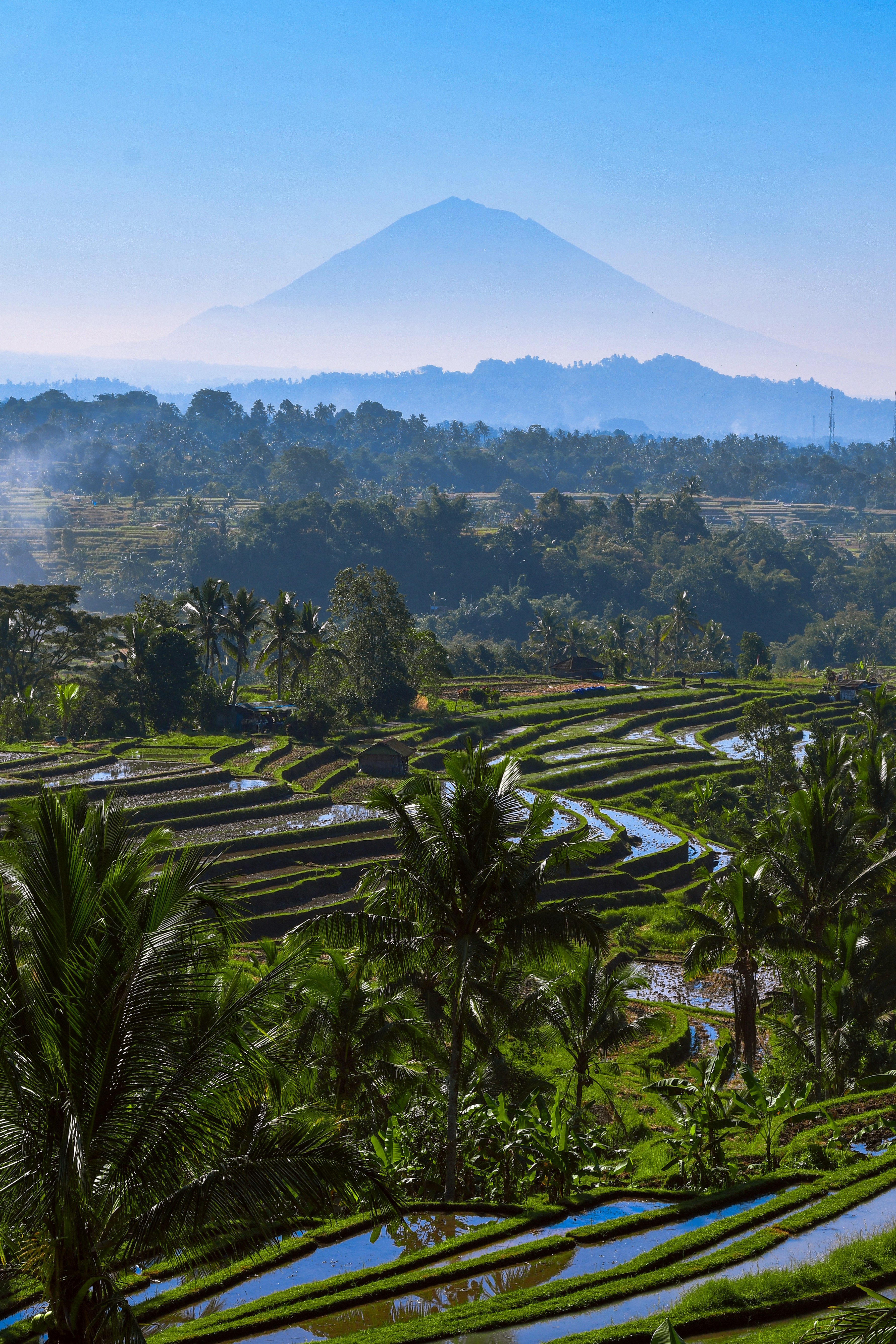 Jatiluwih, Bali 🌾 At sunrise, when the mist slowly moves through the mountains and the world is still quiet, Bali tells one of its oldest stories. Rice terraces carved by generations of hands, water flowing through ancient paths, and the volcano standing silently on the horizon. Here, time is not measured by hours, but by the rhythm of the land and the seasons. A landscape you don’t just see — you feel.