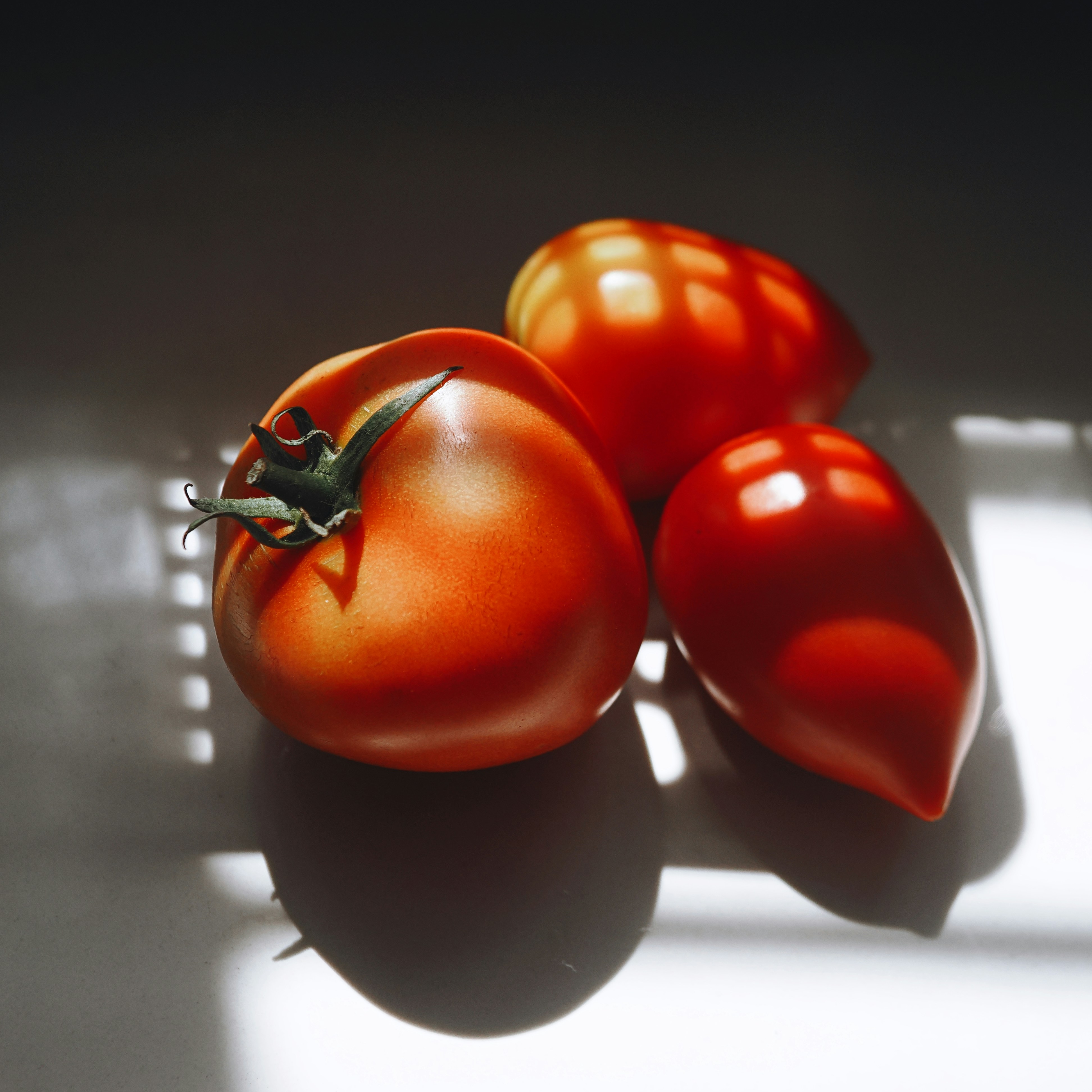 Sunlit Trio: Tomatoes Resting in a Shadowed Quiet