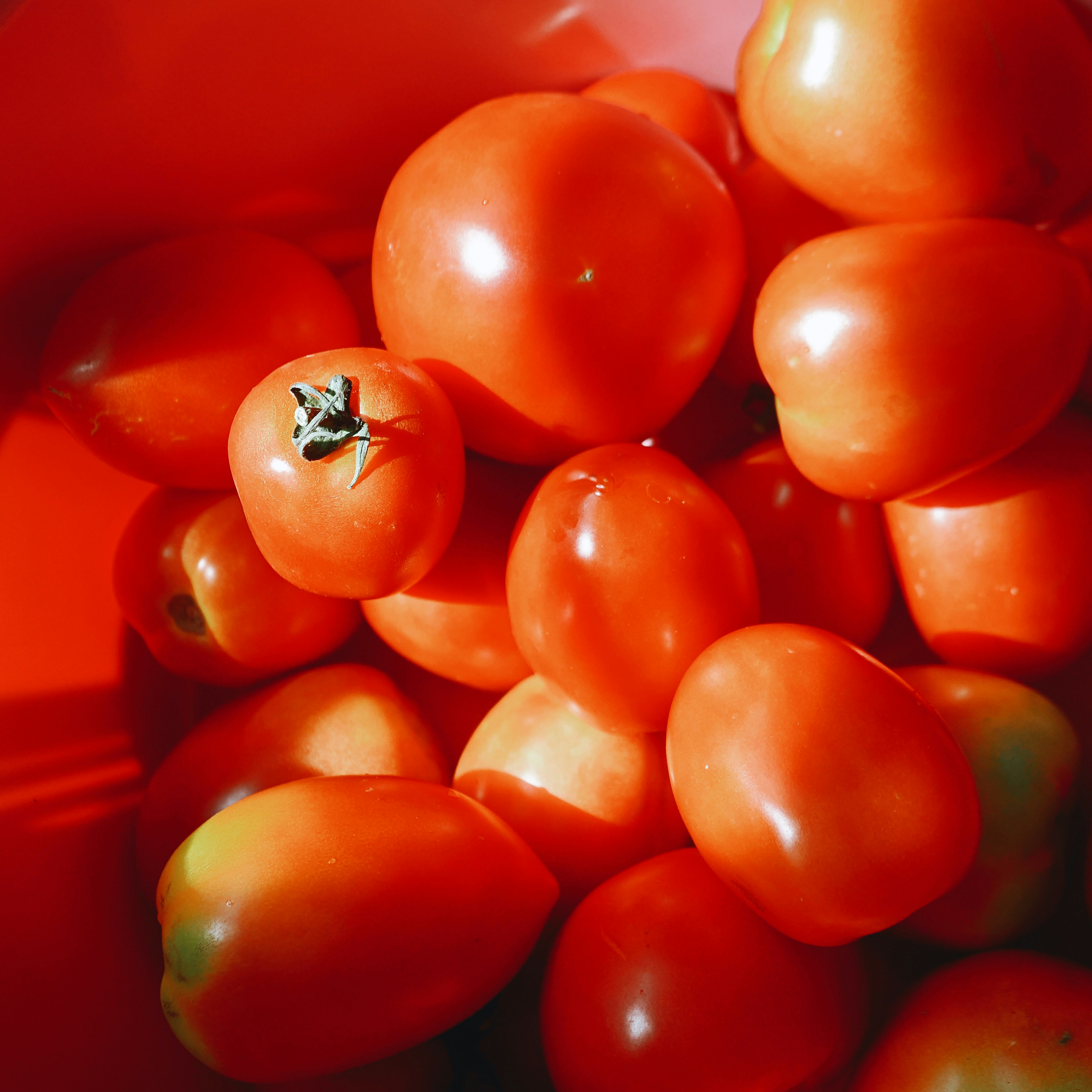 Center Tomato: A Close-Knit Cluster in a Red Bowl