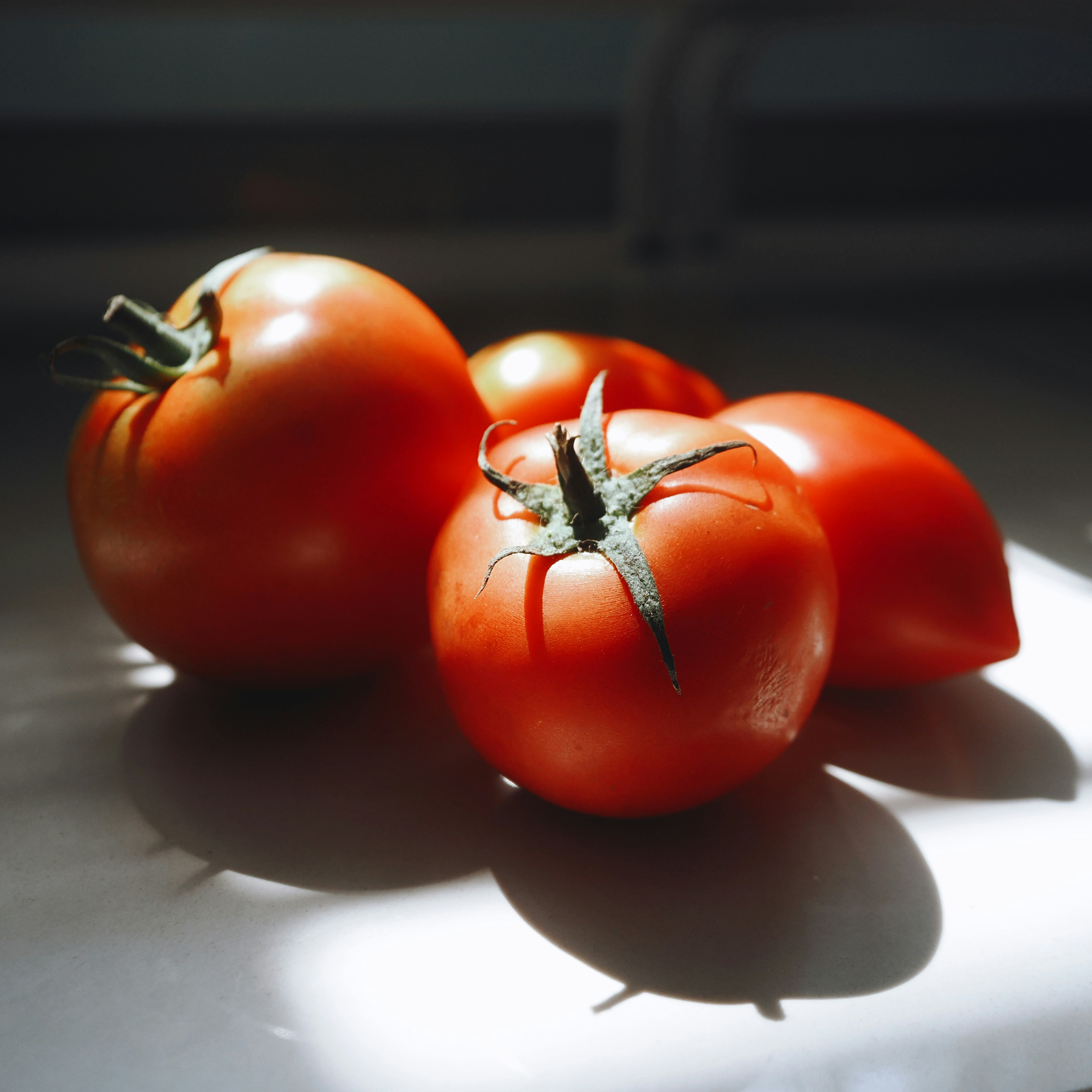 Sunlit Trio: Red Tomatoes Cast in Soft Shadow