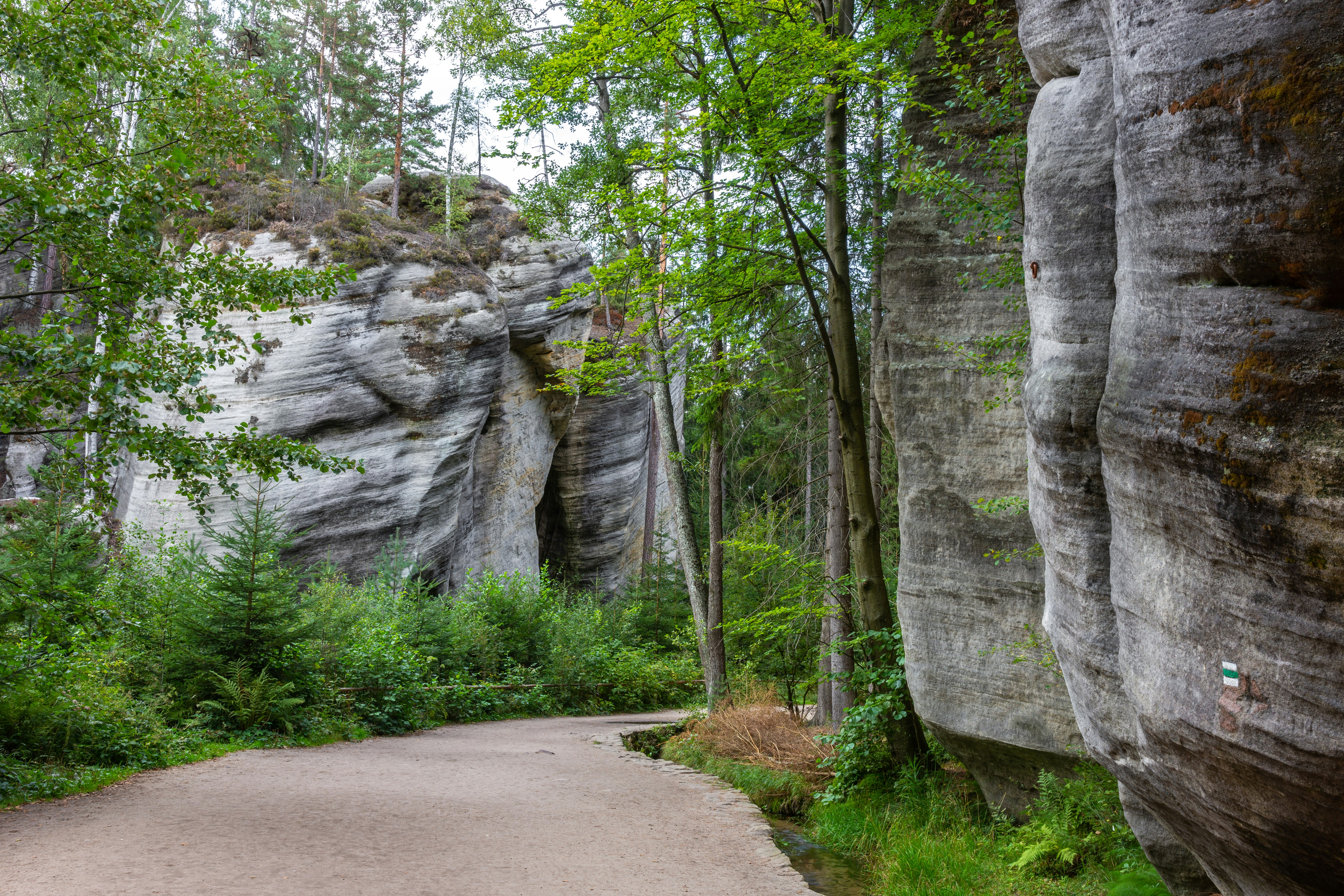 Stone Giants and a Woodland Path