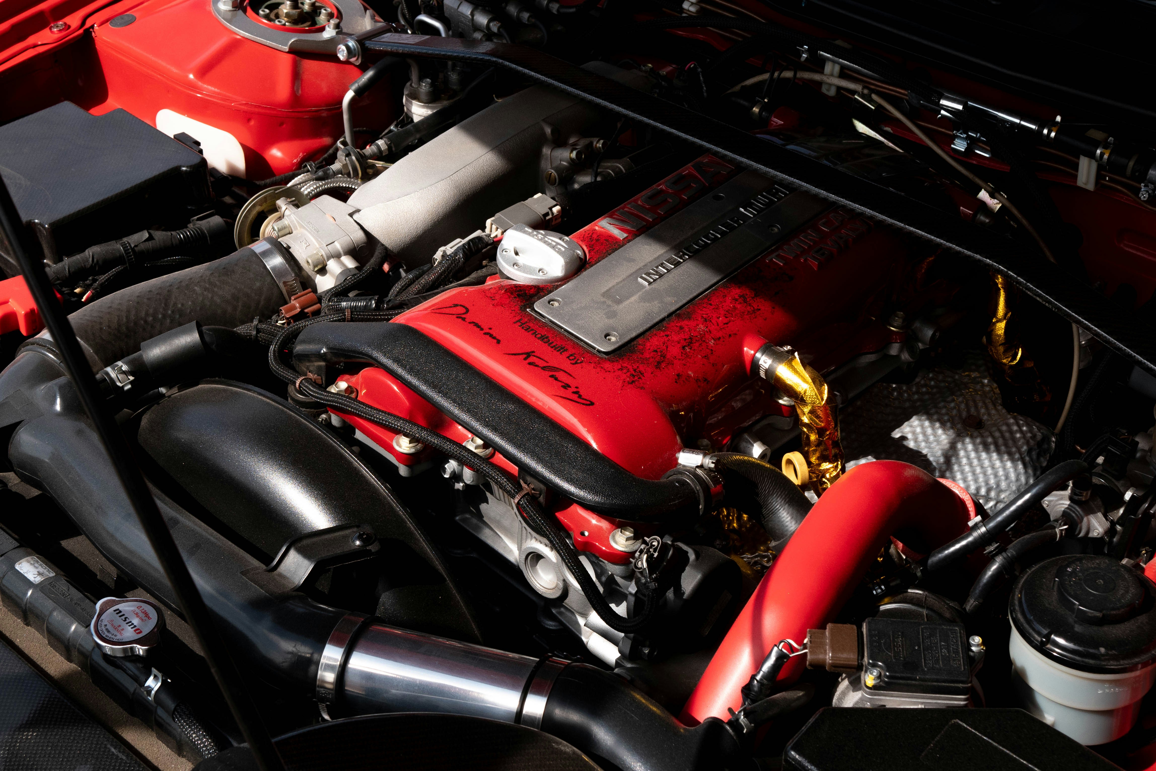 Red V‑Ribbed Heart: A High-Revved Moment in the Engine Bay