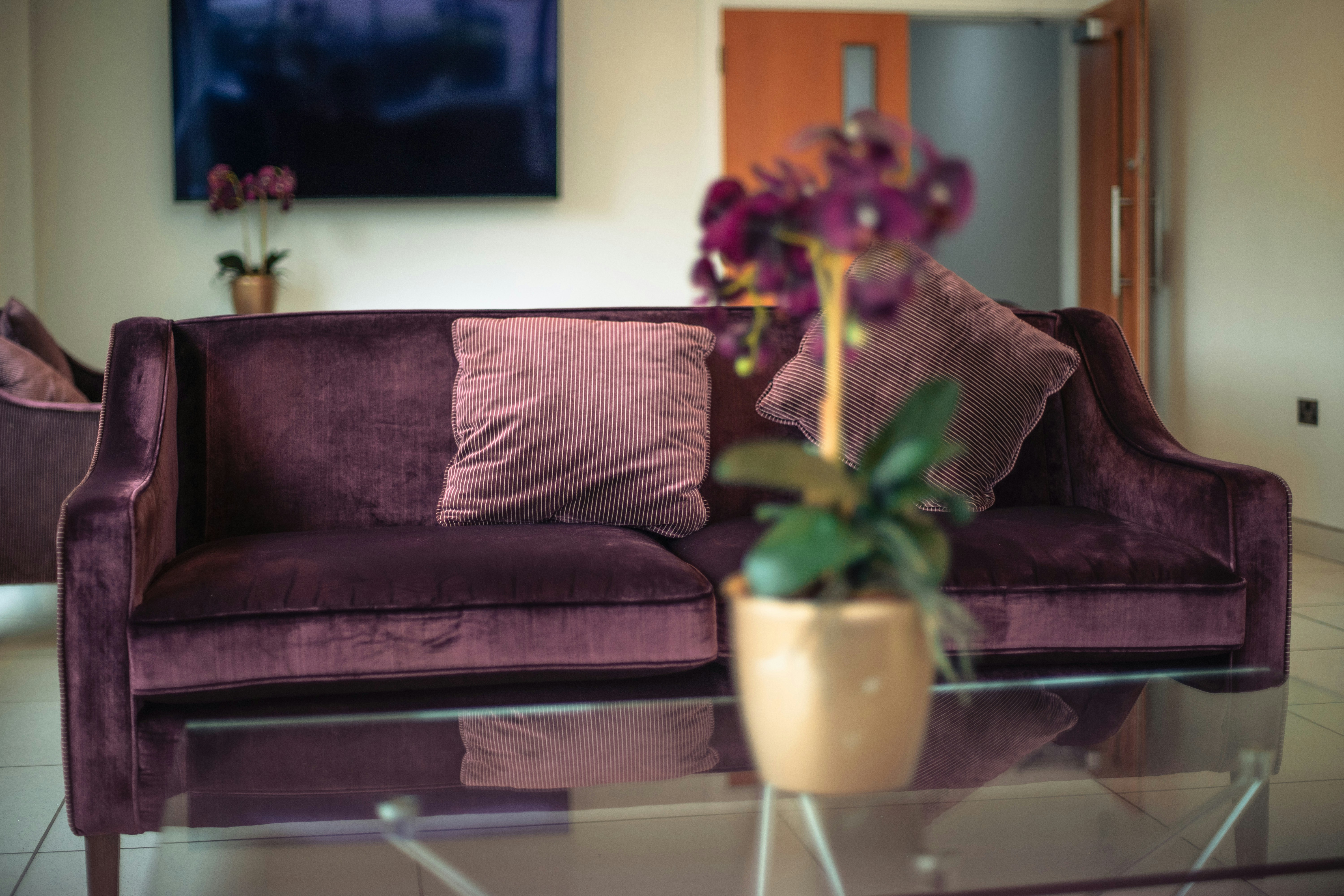 A deep purple velvet sofa with striped cushions in the lounge area at Goosedale, framed by a gold potted orchid in the foreground and soft bokeh in the background.