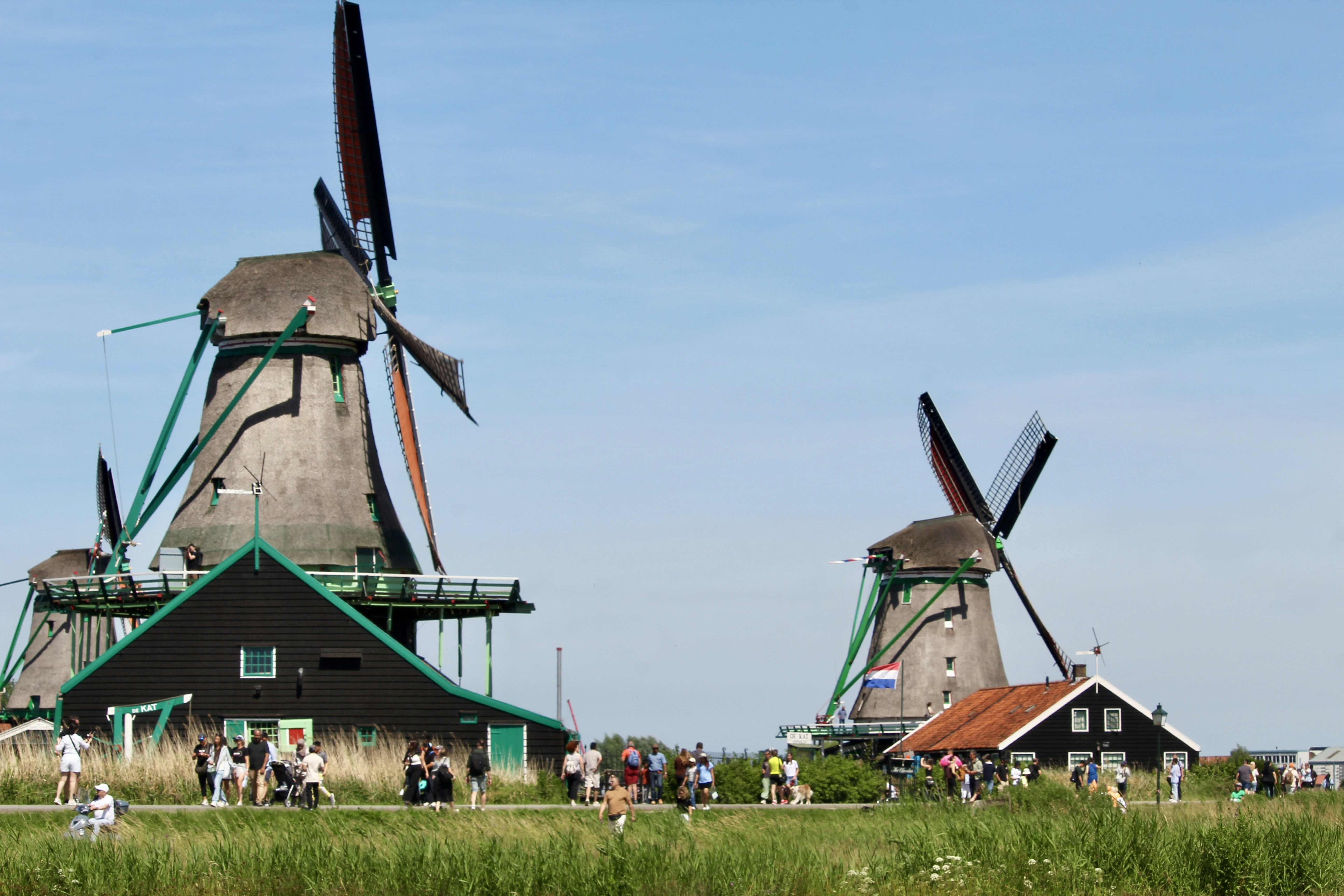 Green-Windmill Portrait: A trio of Dutch-style mills under a clear summer sky