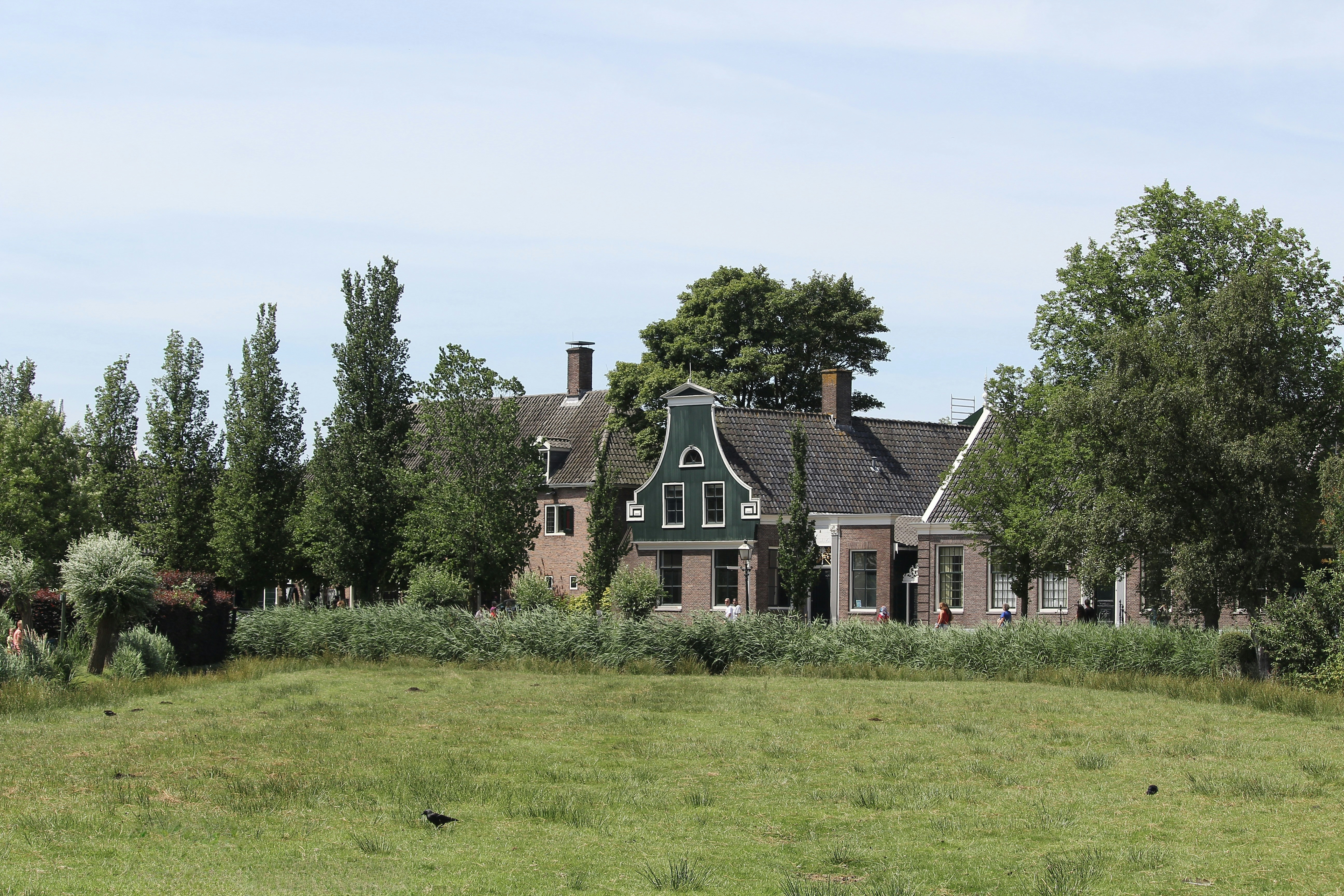 Kept grass field in foreground with a row of brick houses and trees in the background; a calm rural scene showing a quiet village edge.