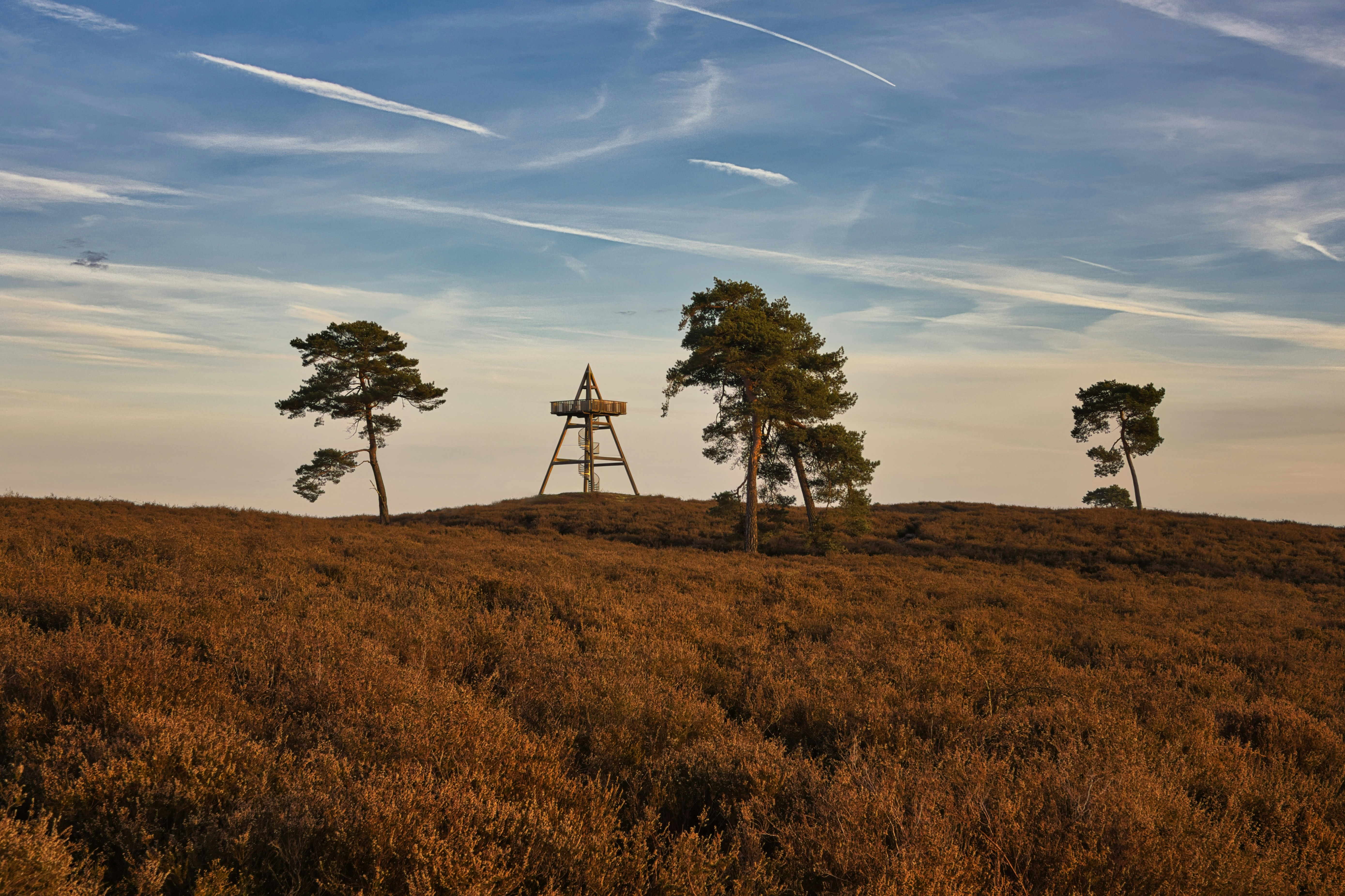 Watchtower Silhouette Over Autumn Heath