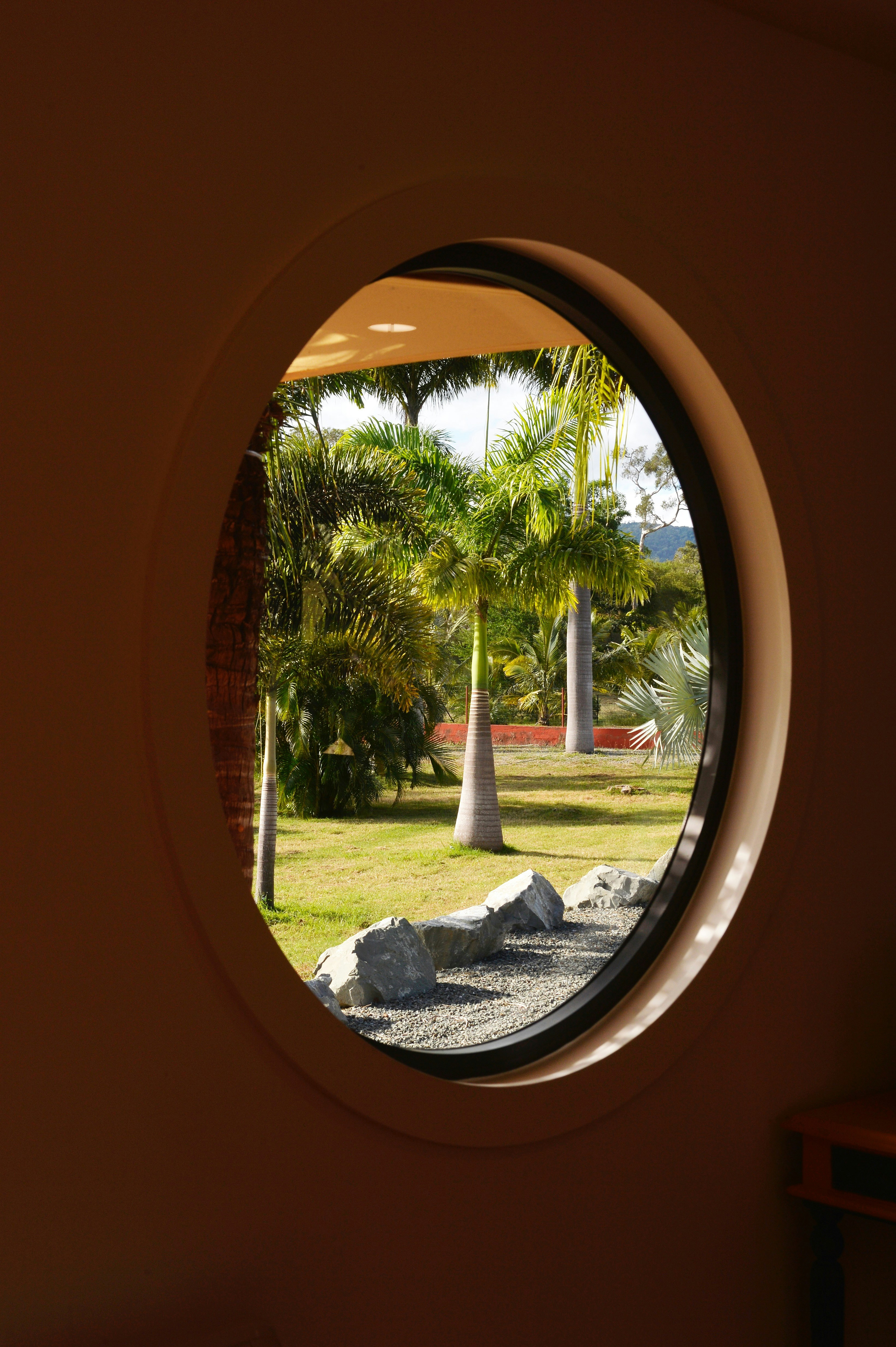 Circular Window to a Sunlit Palm Garden