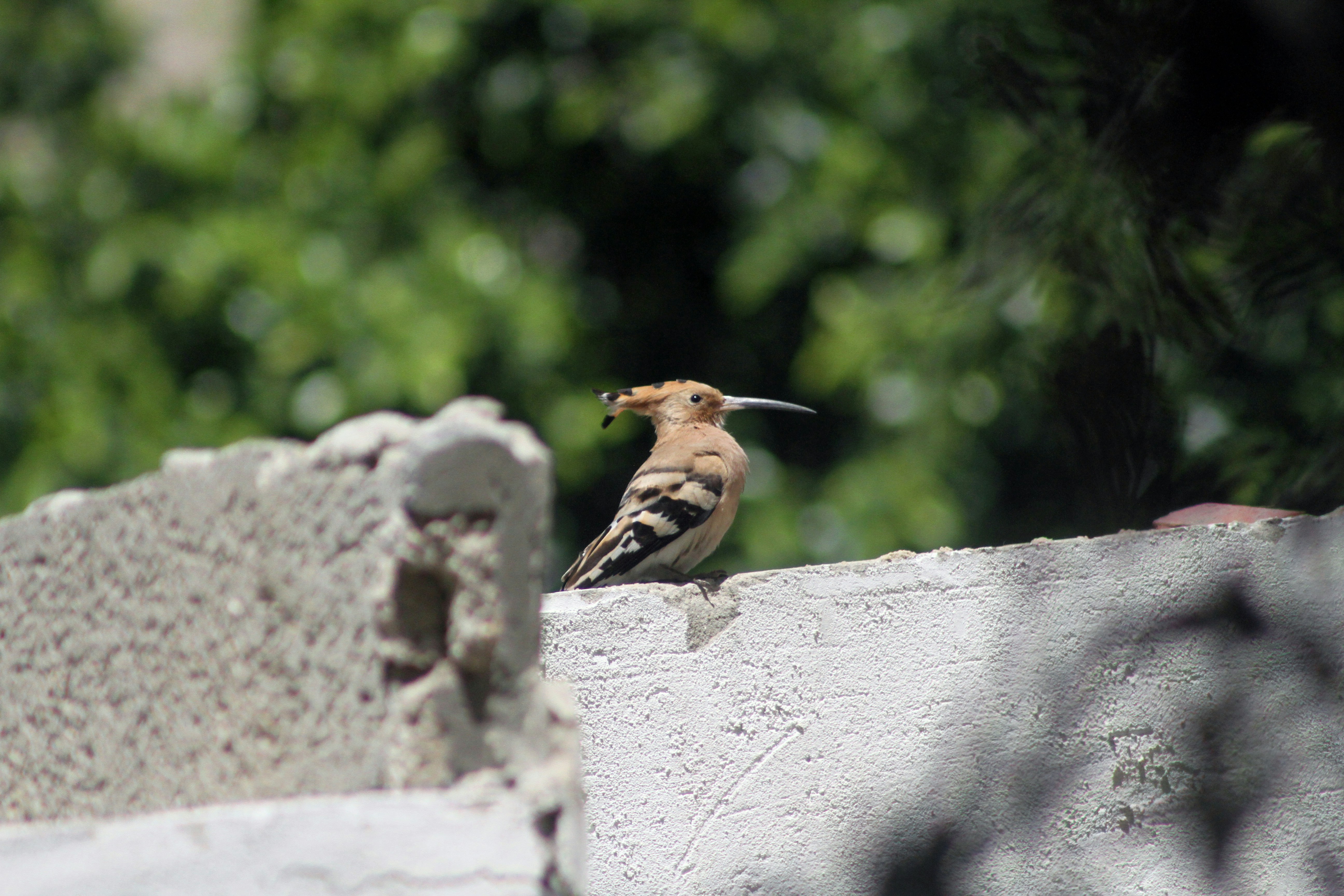 Photo by براء حبوش with Canon EOS 7D
