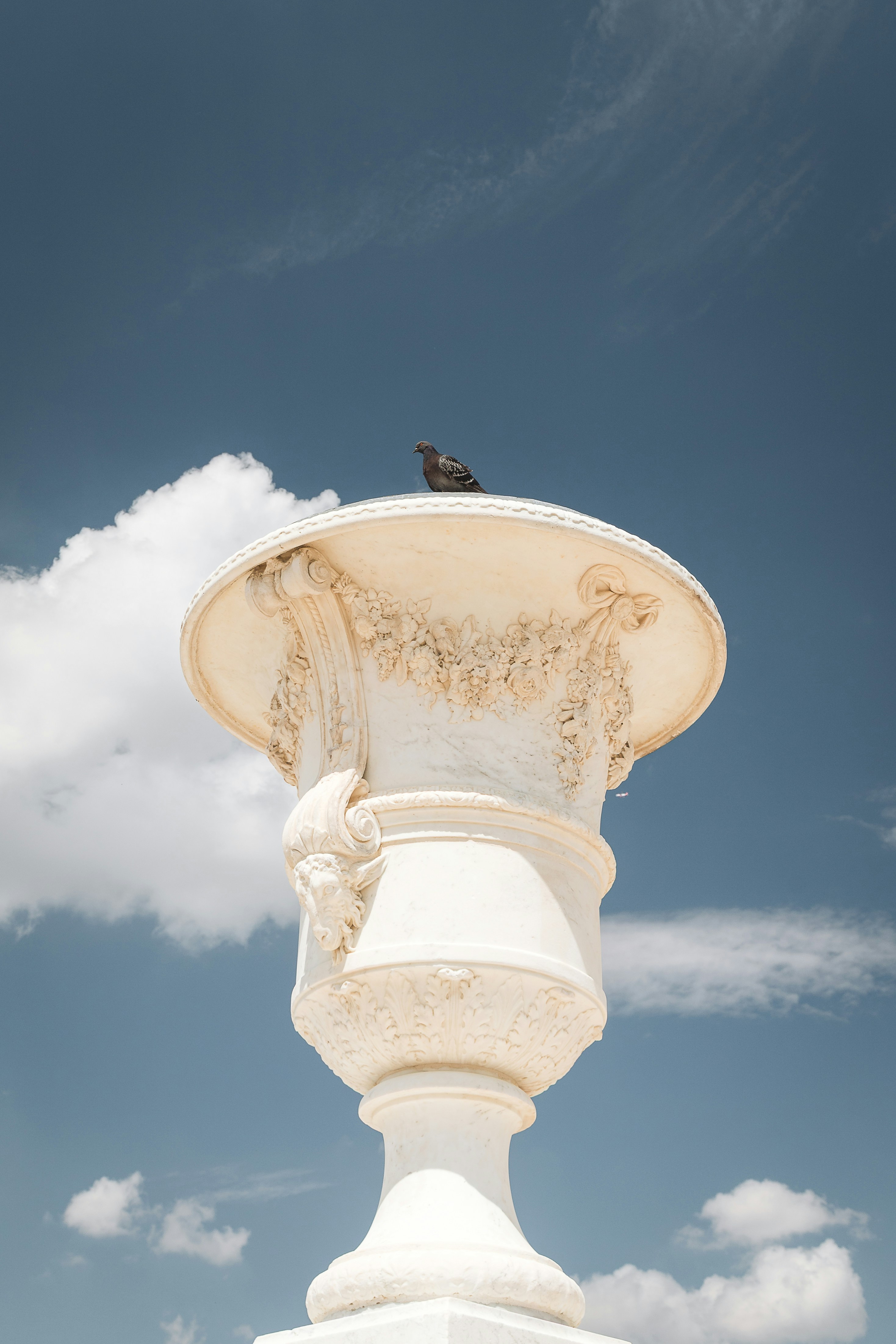 Pigeon on a pedestal: calm contrast against a blue sky