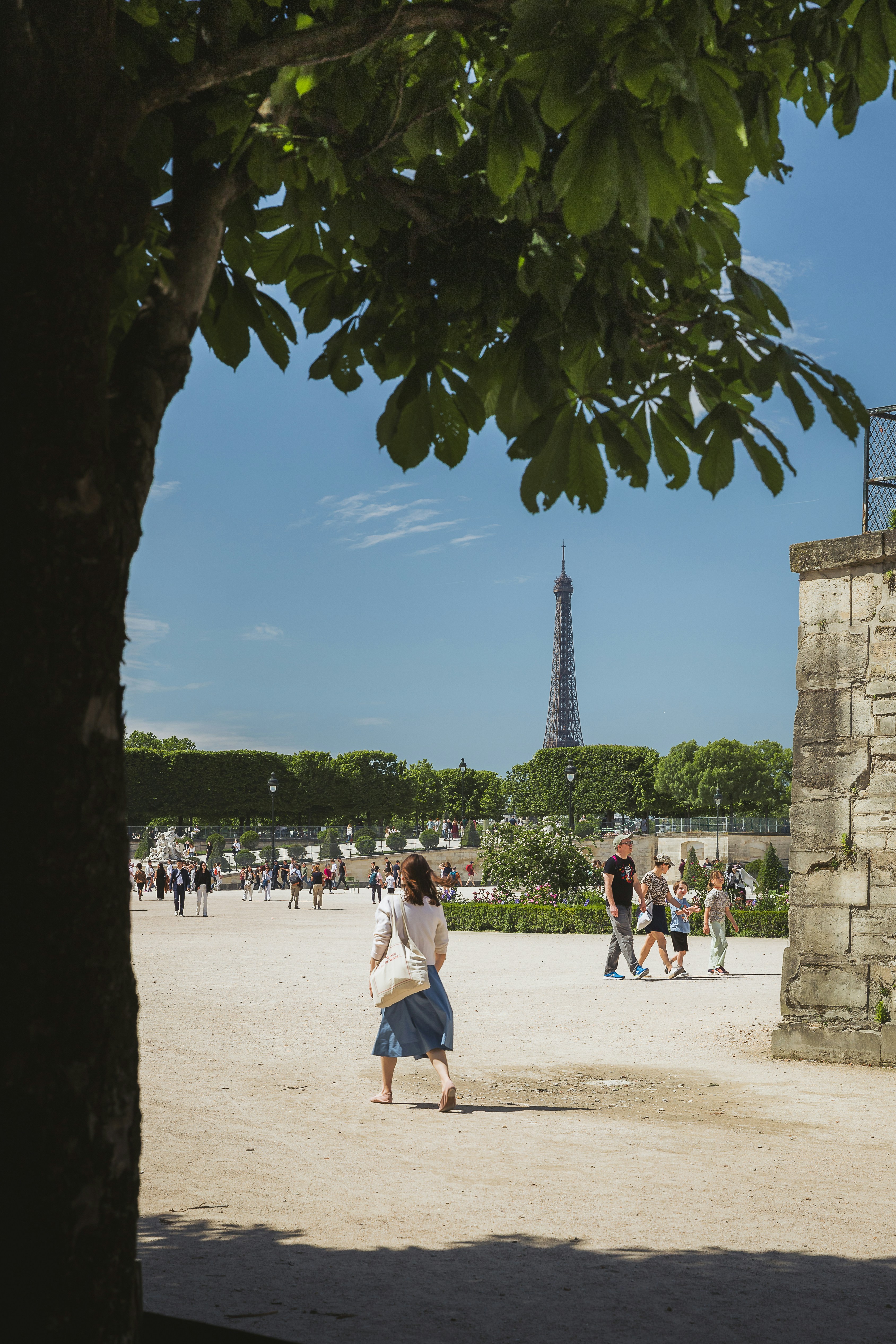 Shadows by the Tuileries: A Quiet Moment with the Eiffel Tower