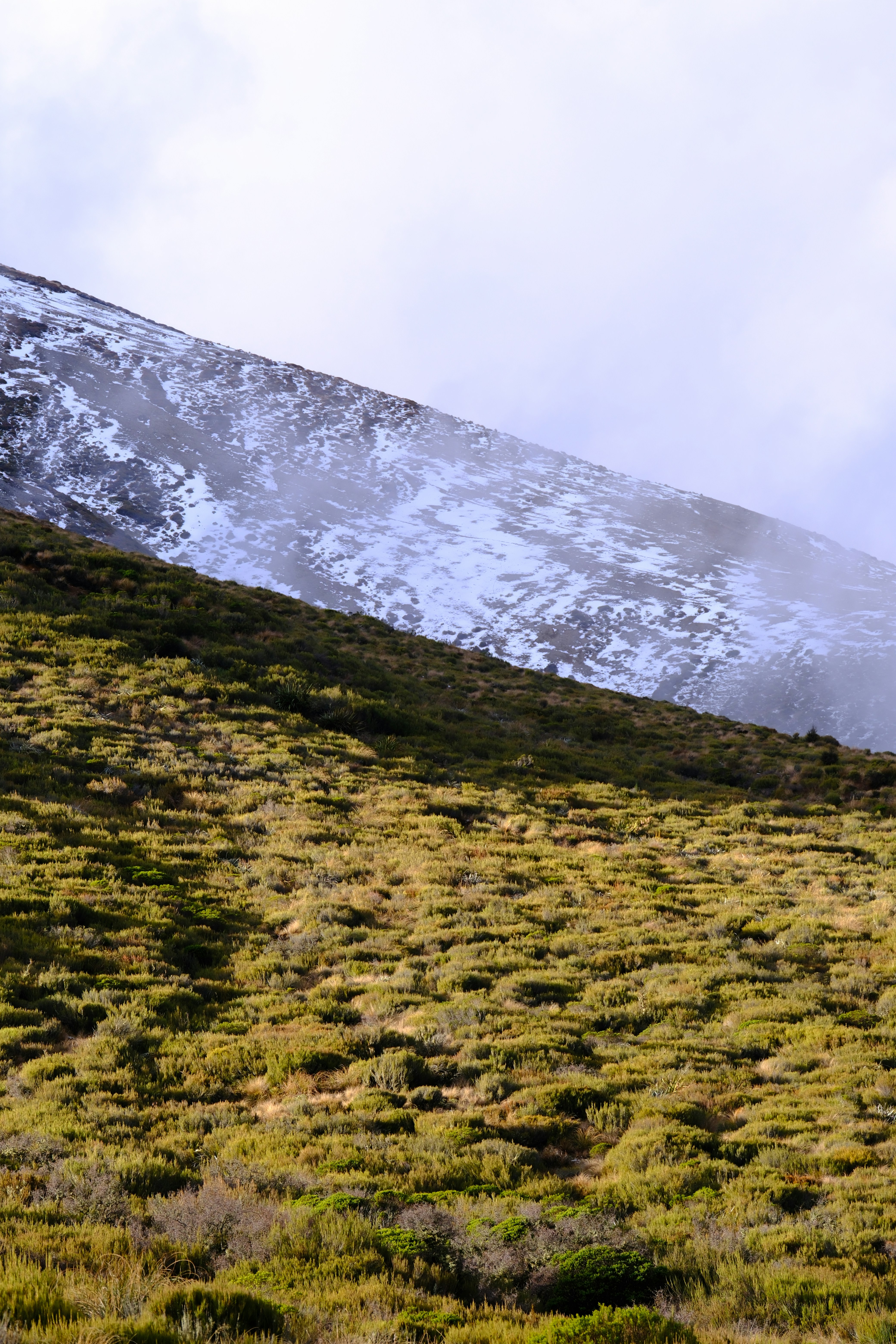 Golden Slope Beneath a Snow-Speckled Ridge