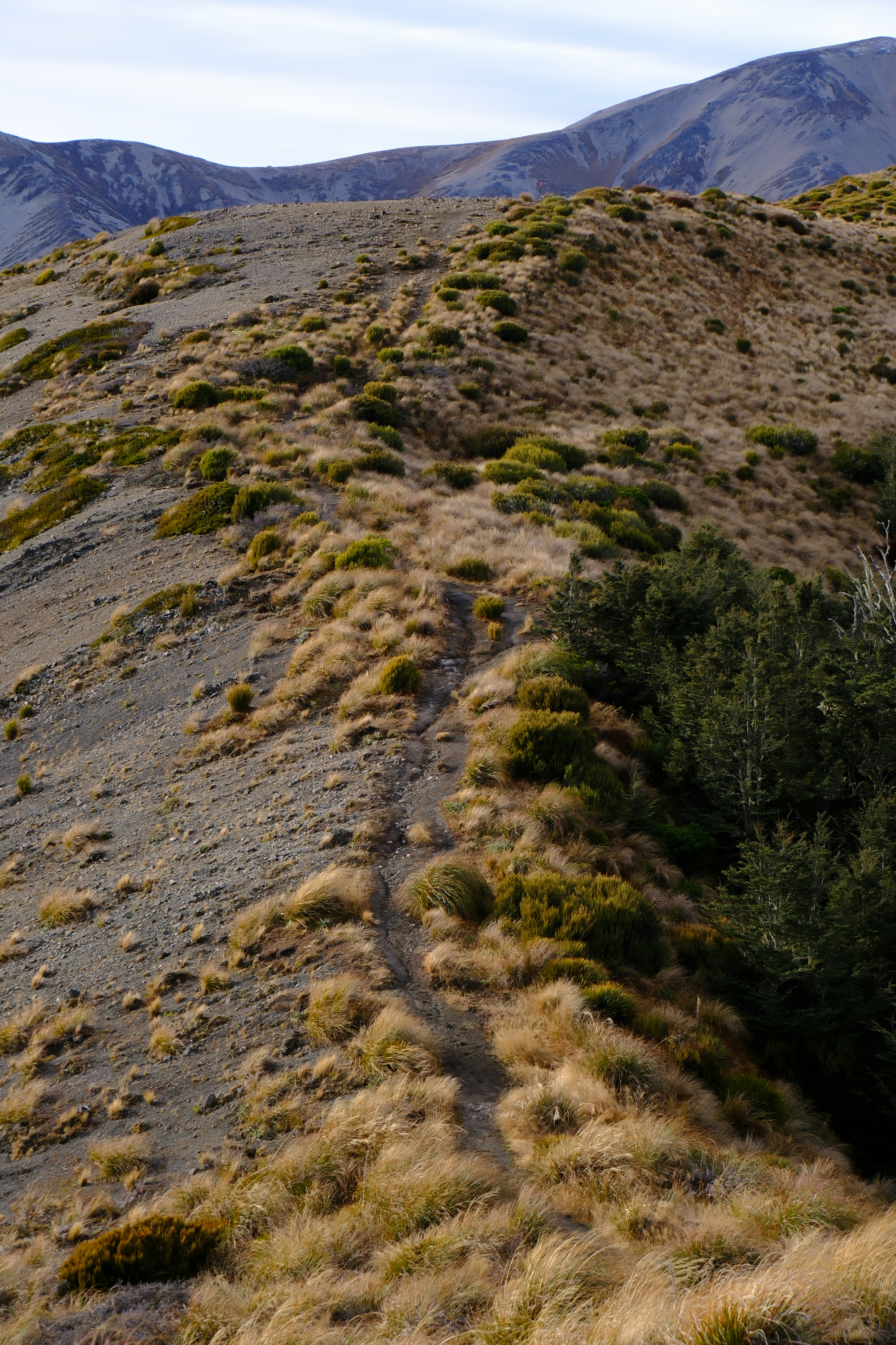 Wind-sculpted hillside under distant alpine peaks