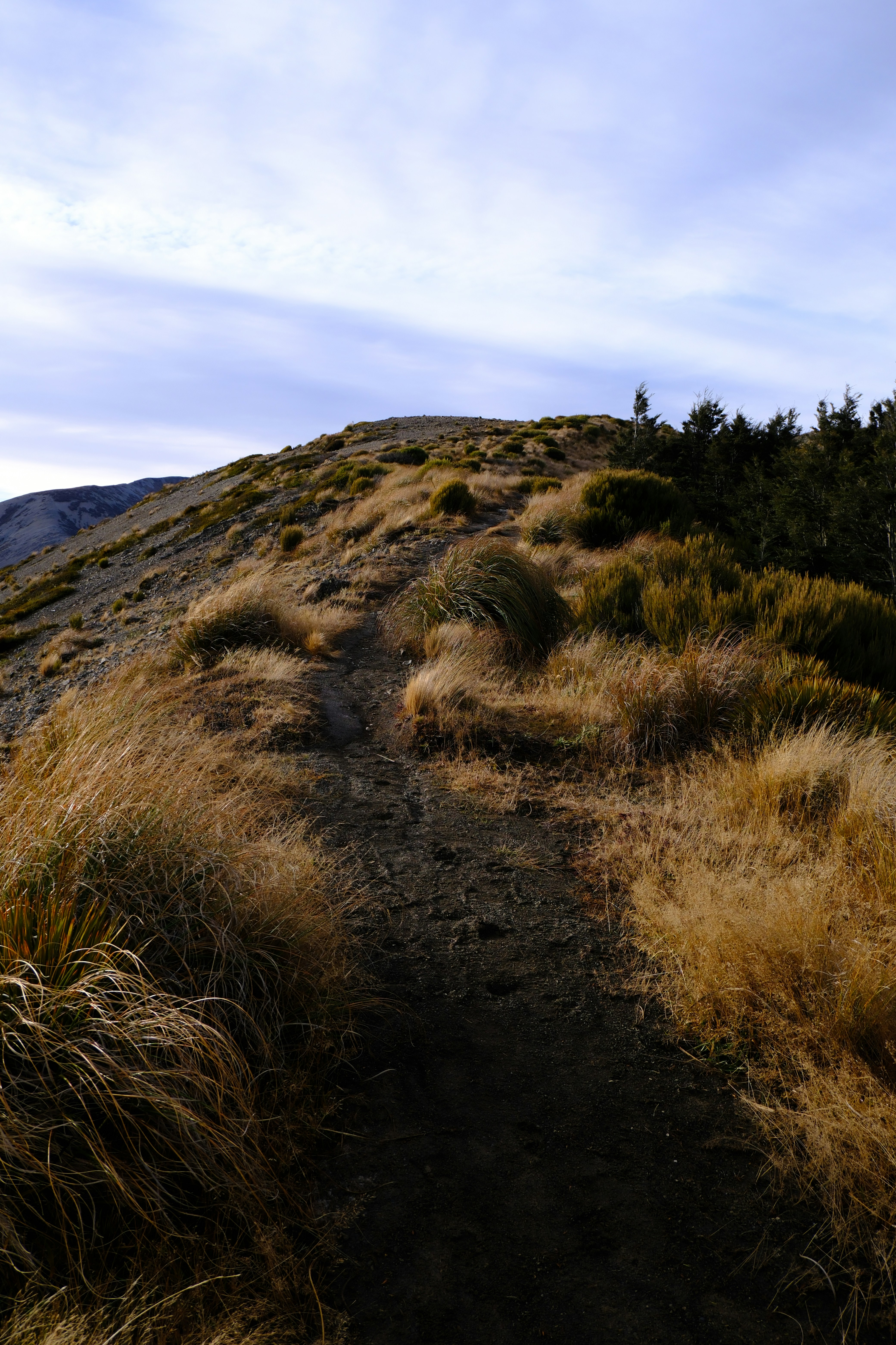Trail to the ridge: golden grasses edge a rugged hillside under a pale blue sky
