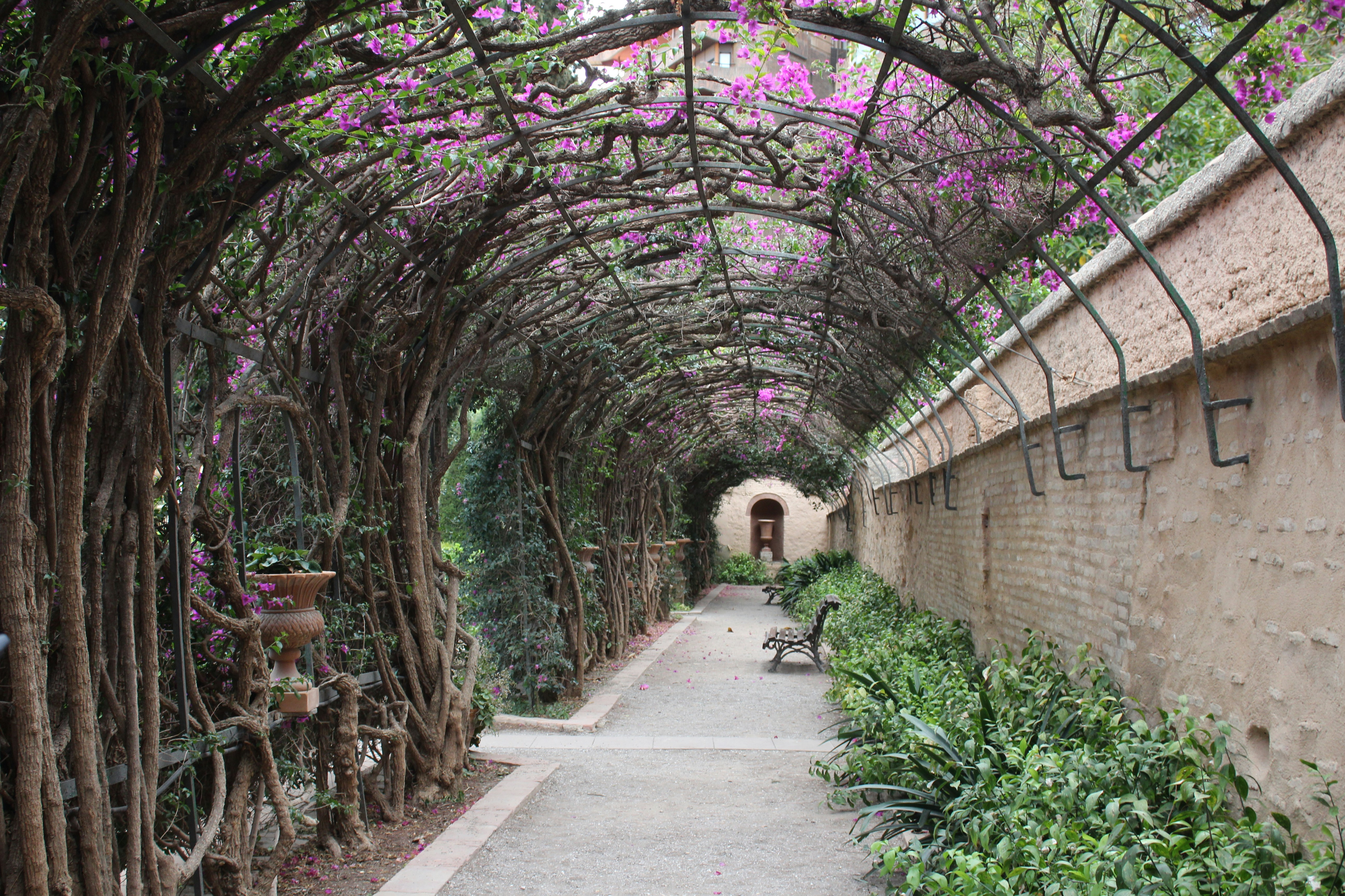 A stone path under a flowering archway extends toward a distant doorway, flanked by greenery along a brick wall.