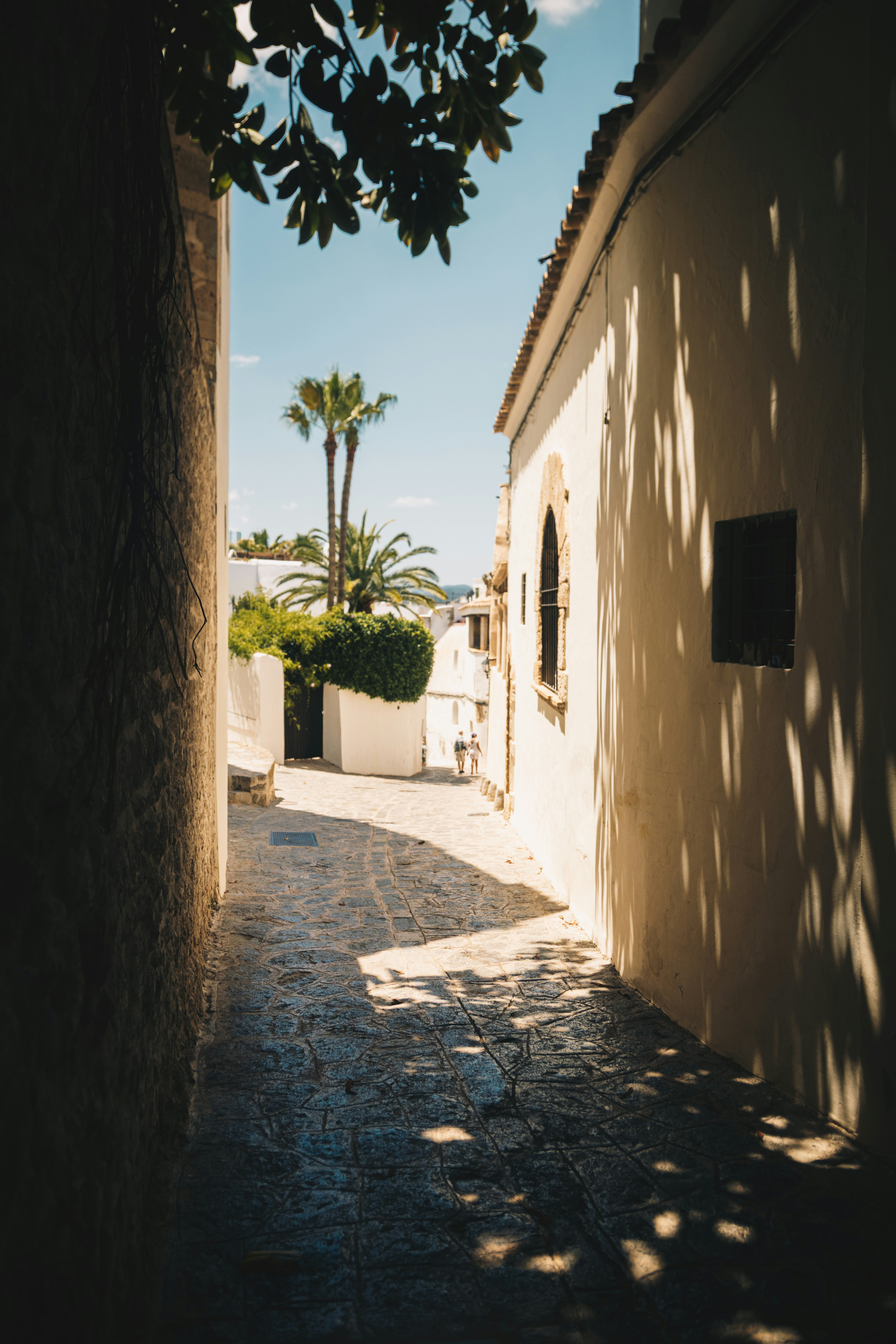 Shaded Calle with Sunlit Archway and Distant Palm