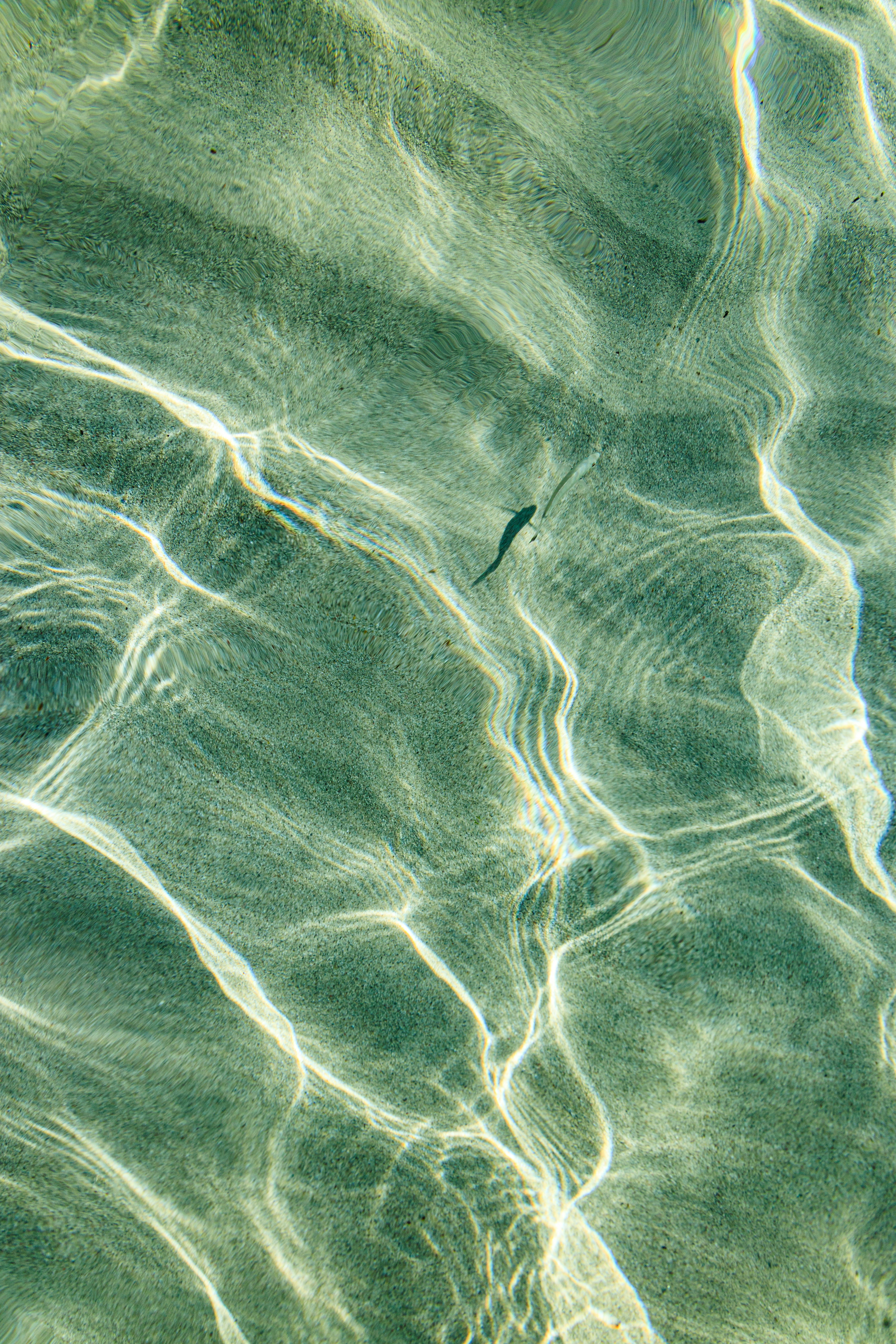 Shimmering Tide Traces: A Quiet Moment Over Crystal Waters
