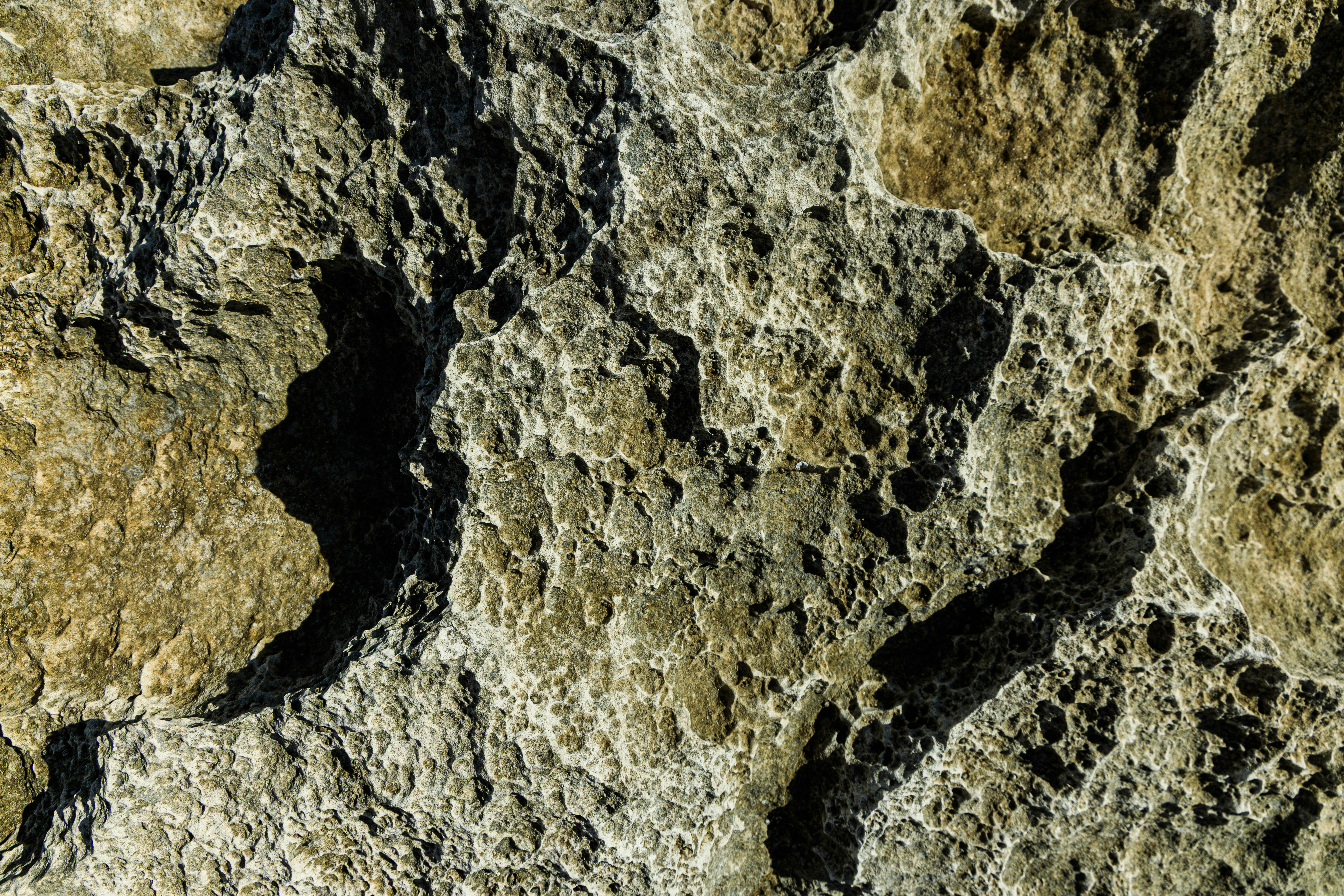 Rugged Limestone Textures in Sunlit Canyon Wall