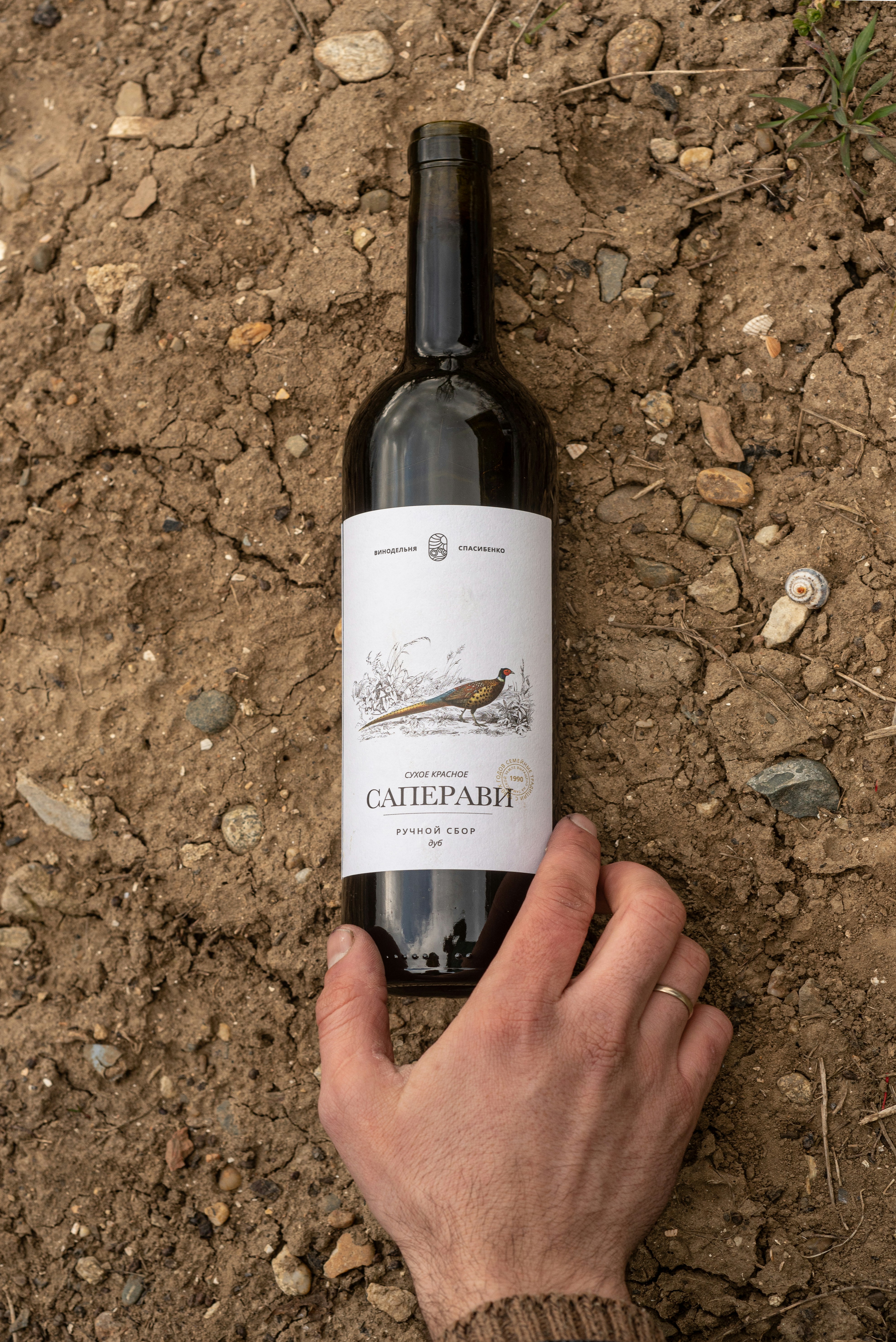 Bottle in Hand: A Rustic Sunset in Dirt