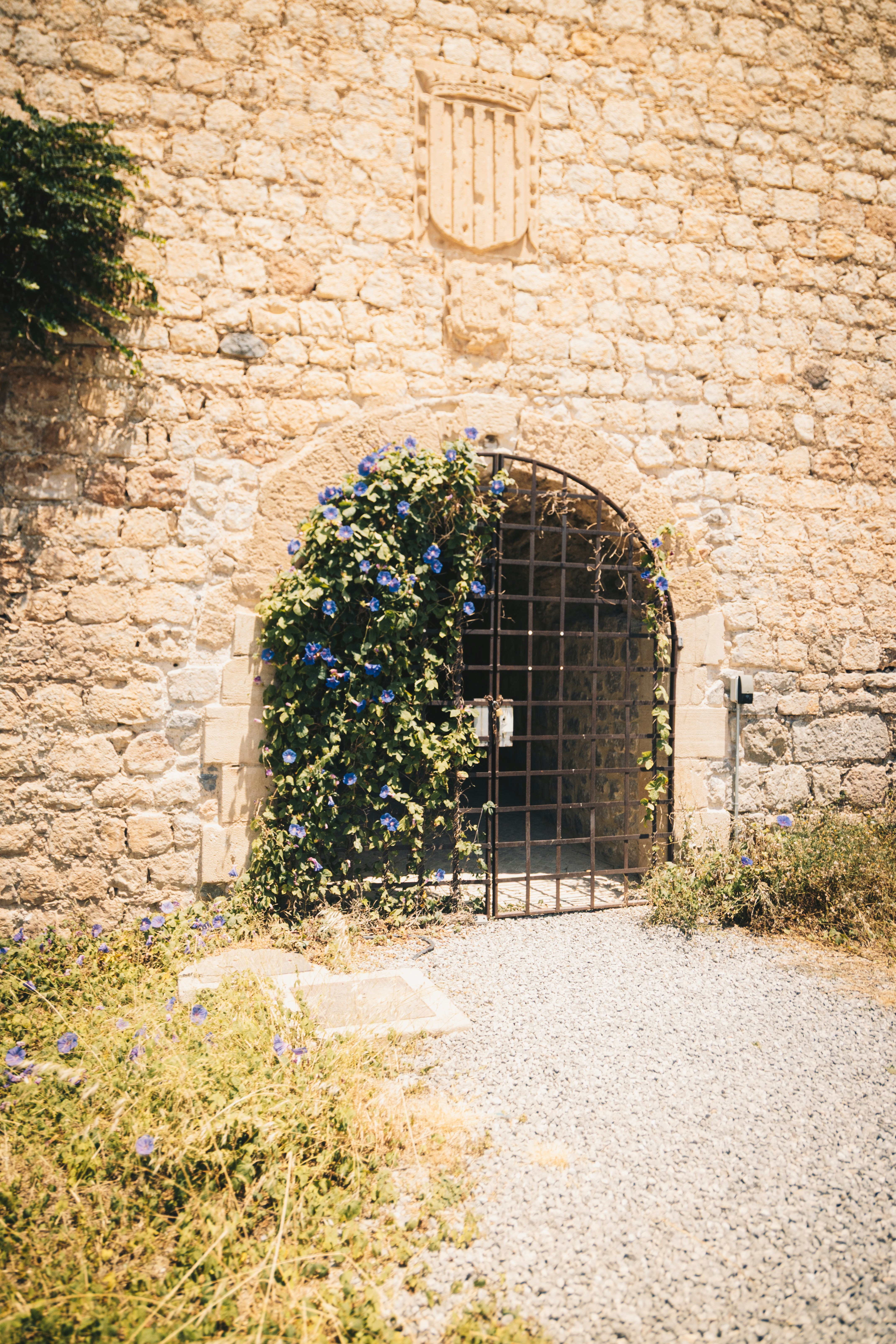 Floral Archway Guarded by Stone Facade