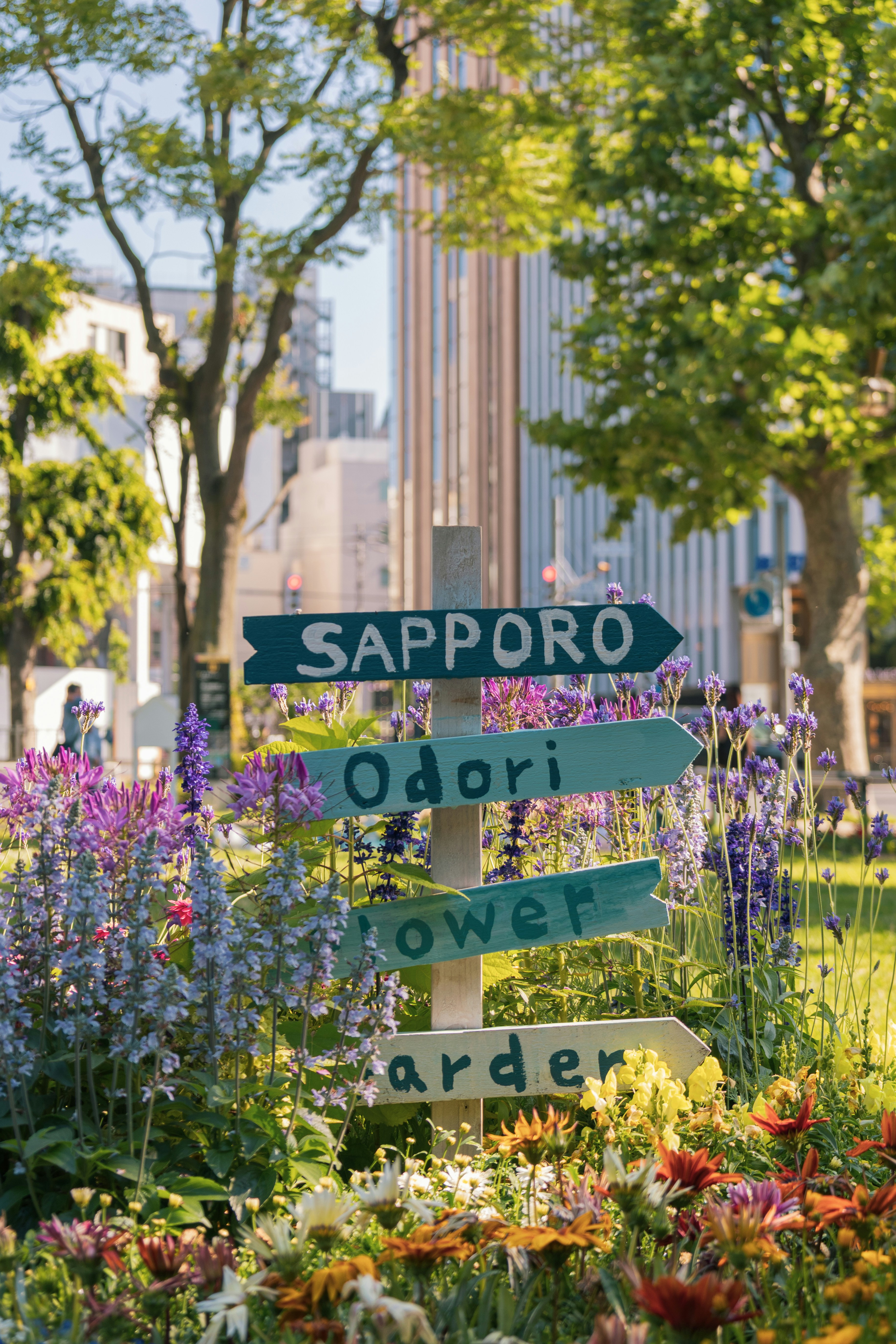 Signpost Garden in an Urban Park
