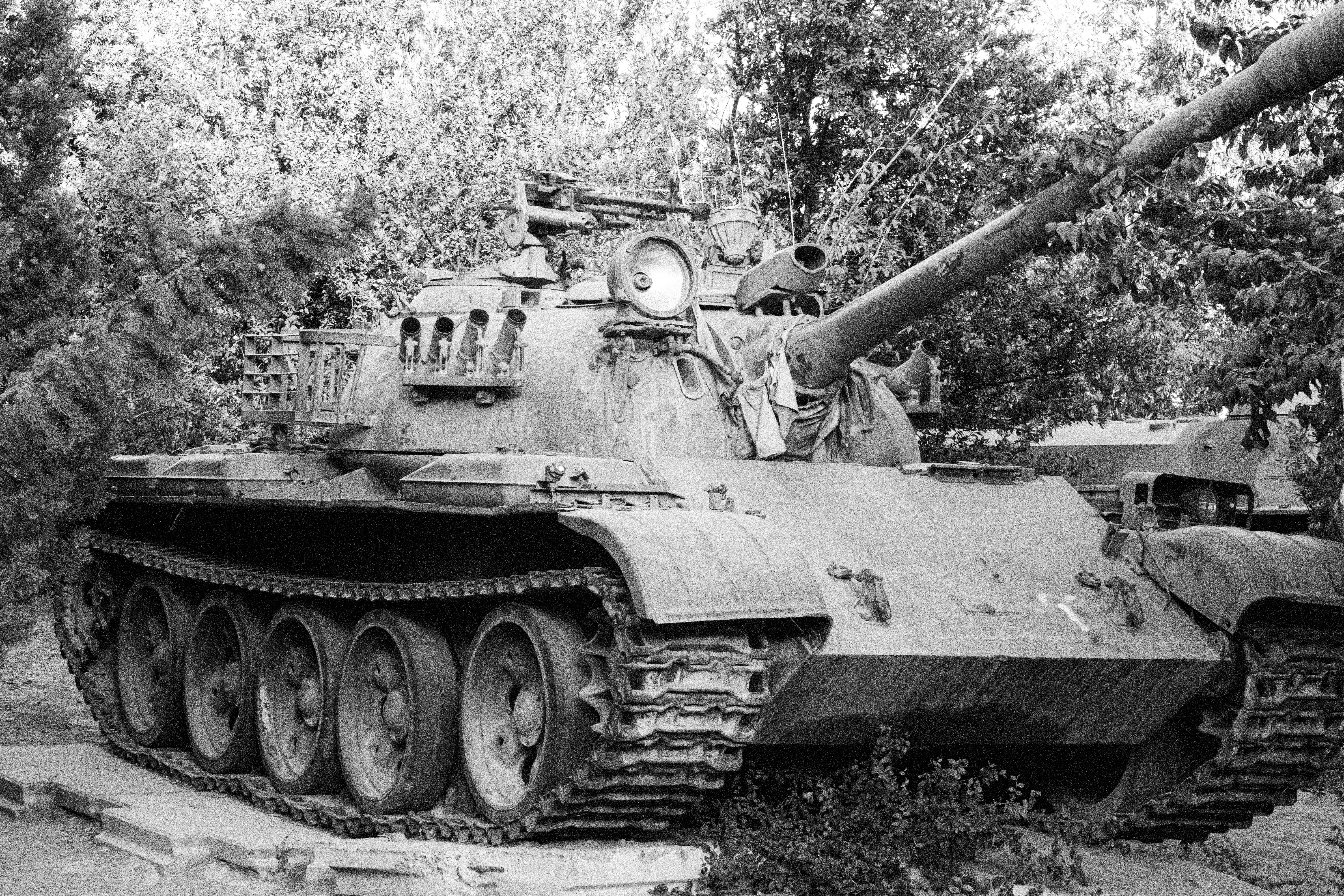 Silent Giant of the Grove: A T-34 In Time-Still Steel