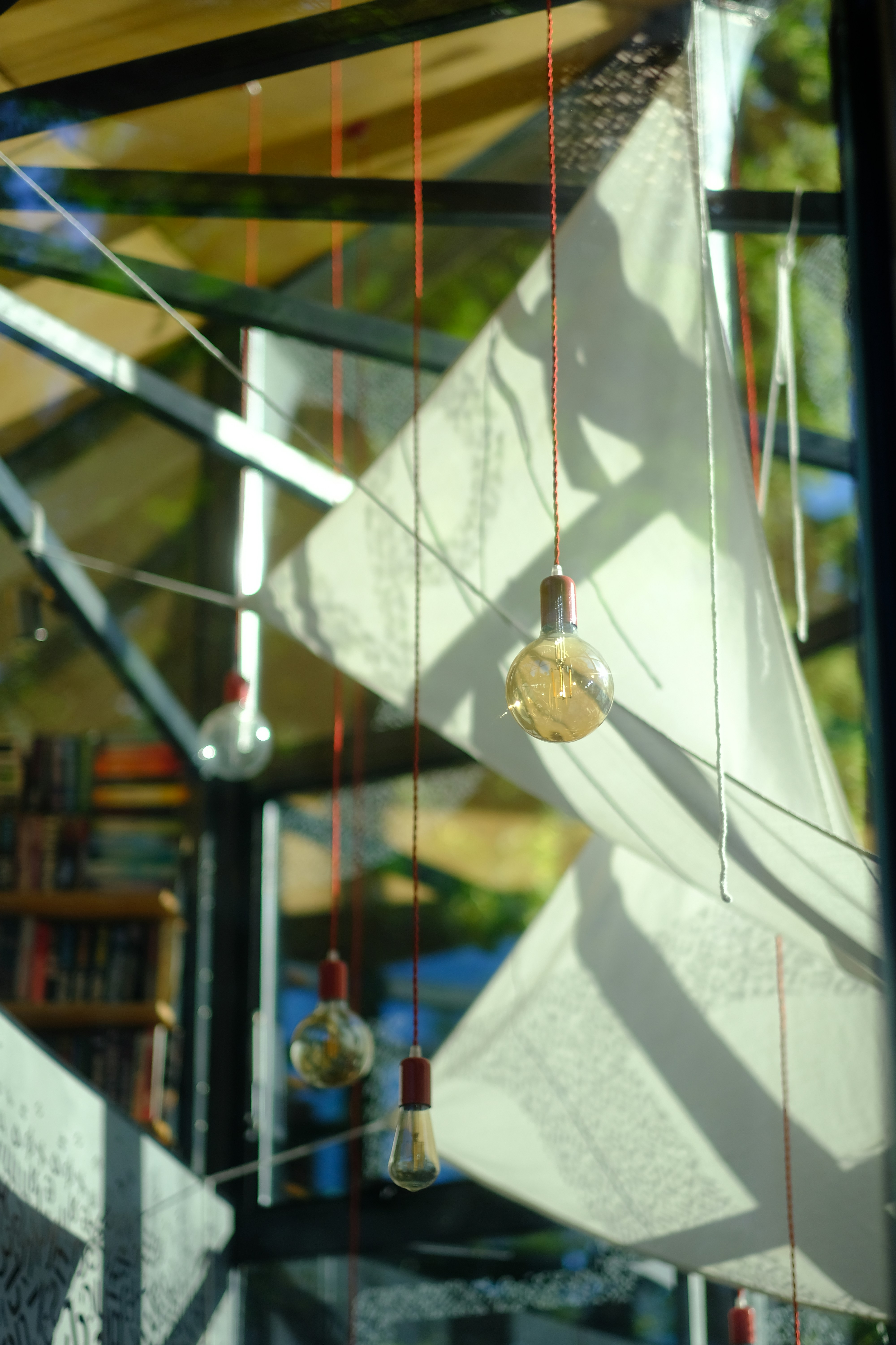 Ambient Edison: Hanging Bulbs in a Modern Glass Atelier