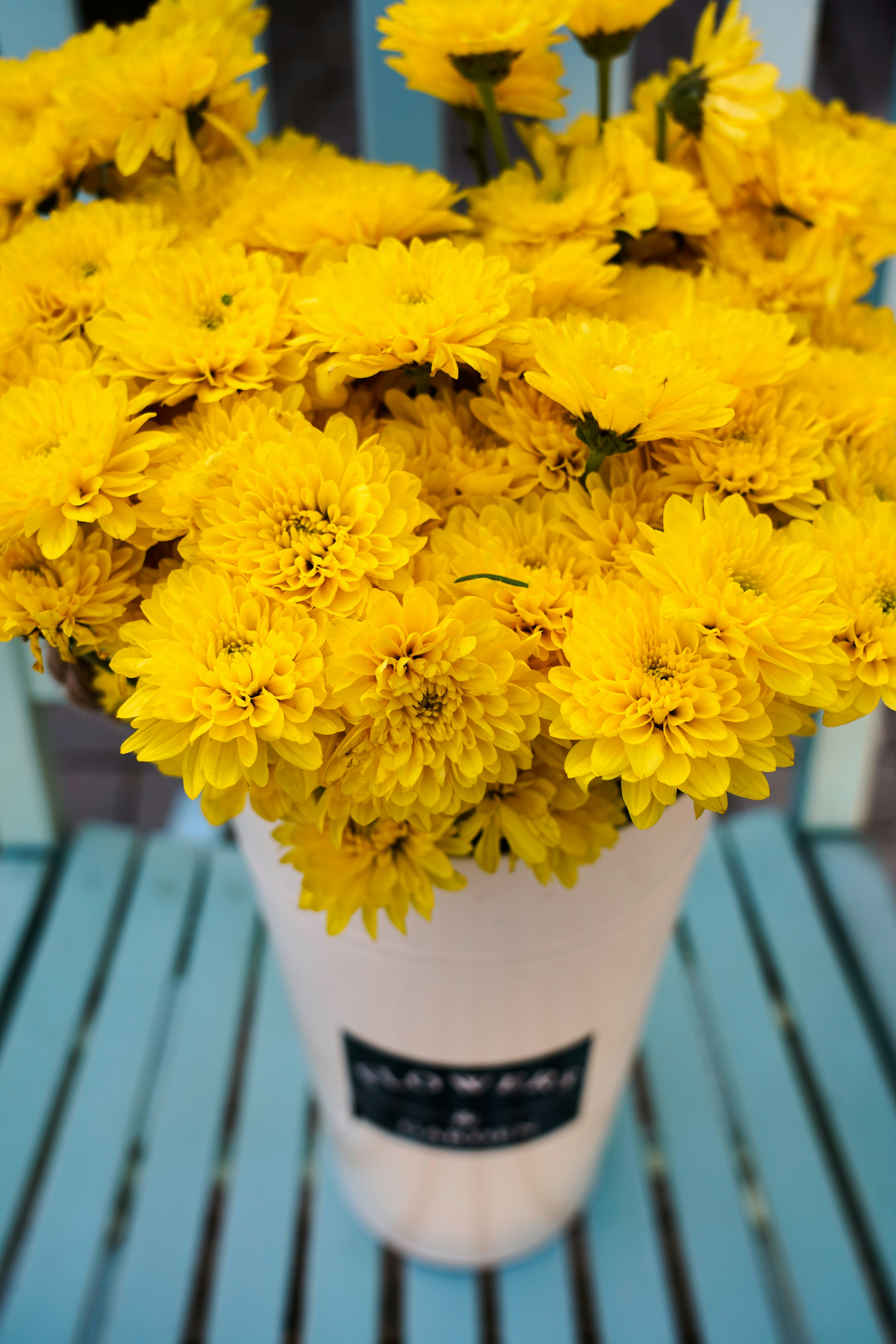 Golden Posy: A Burst of Chrysanthemum Charm in Soft Pastels