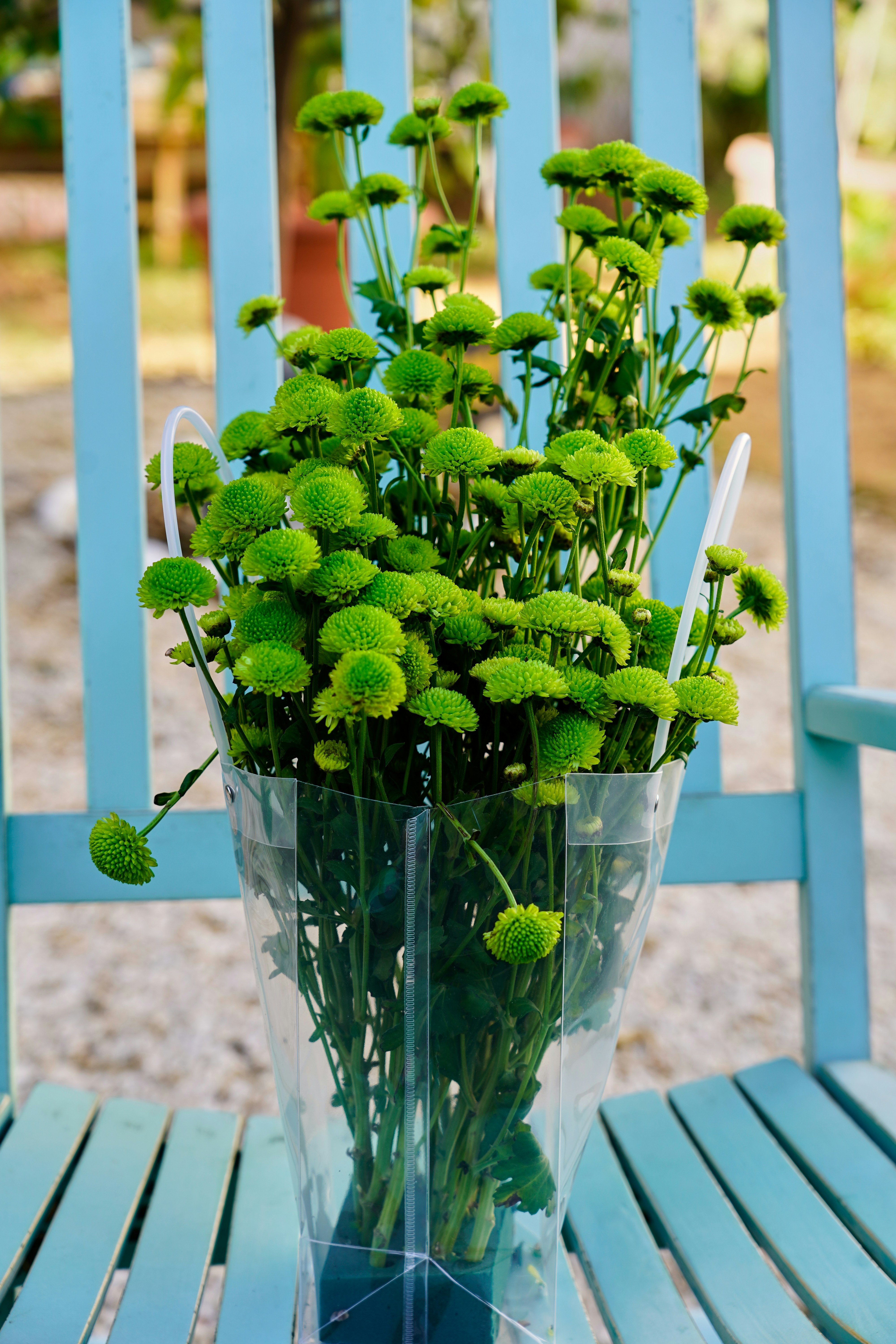 Green Pom-Pom Vase on a Sunny Turquoise Bench