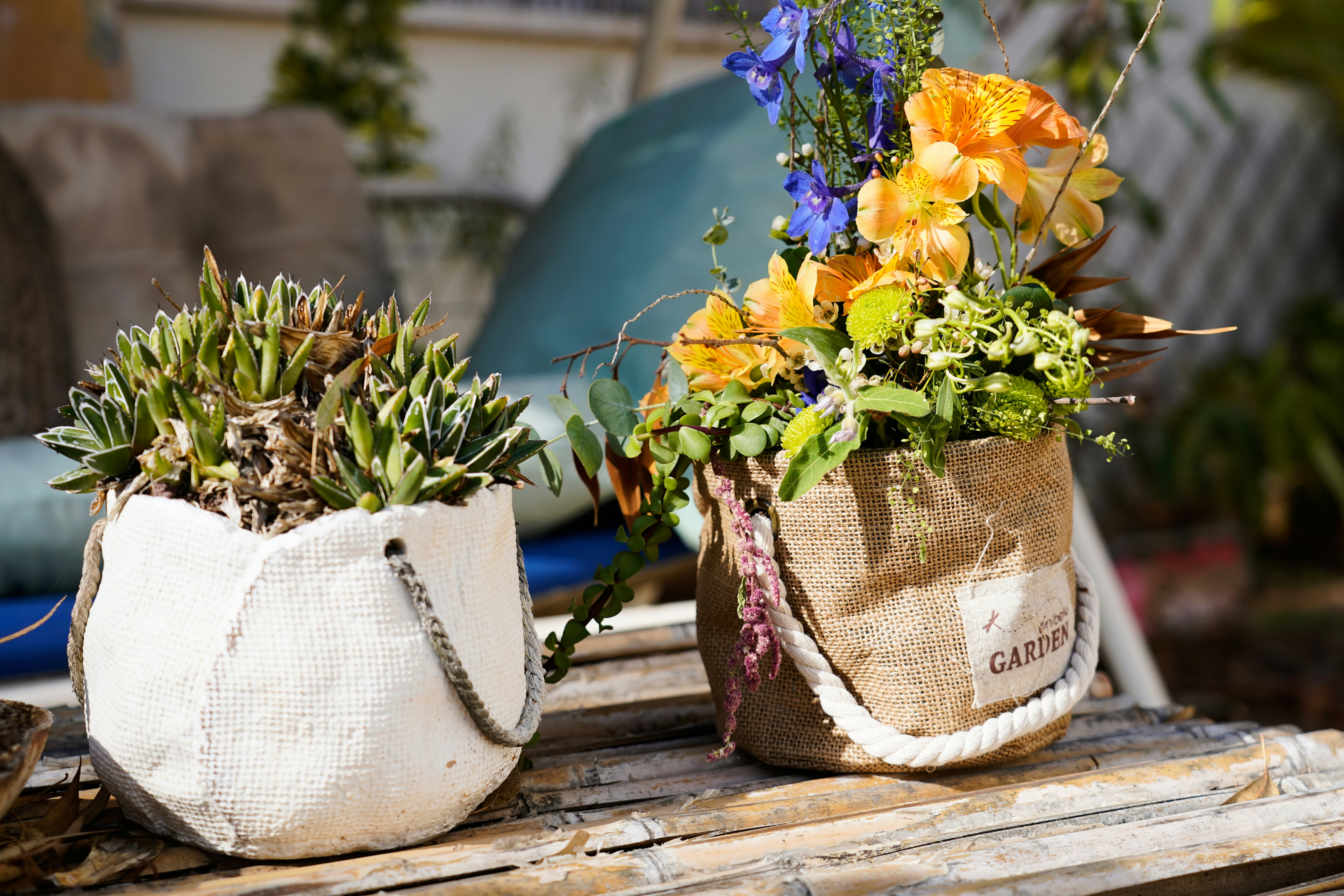 Two rustic potted arrangements on a sunlit wooden railing