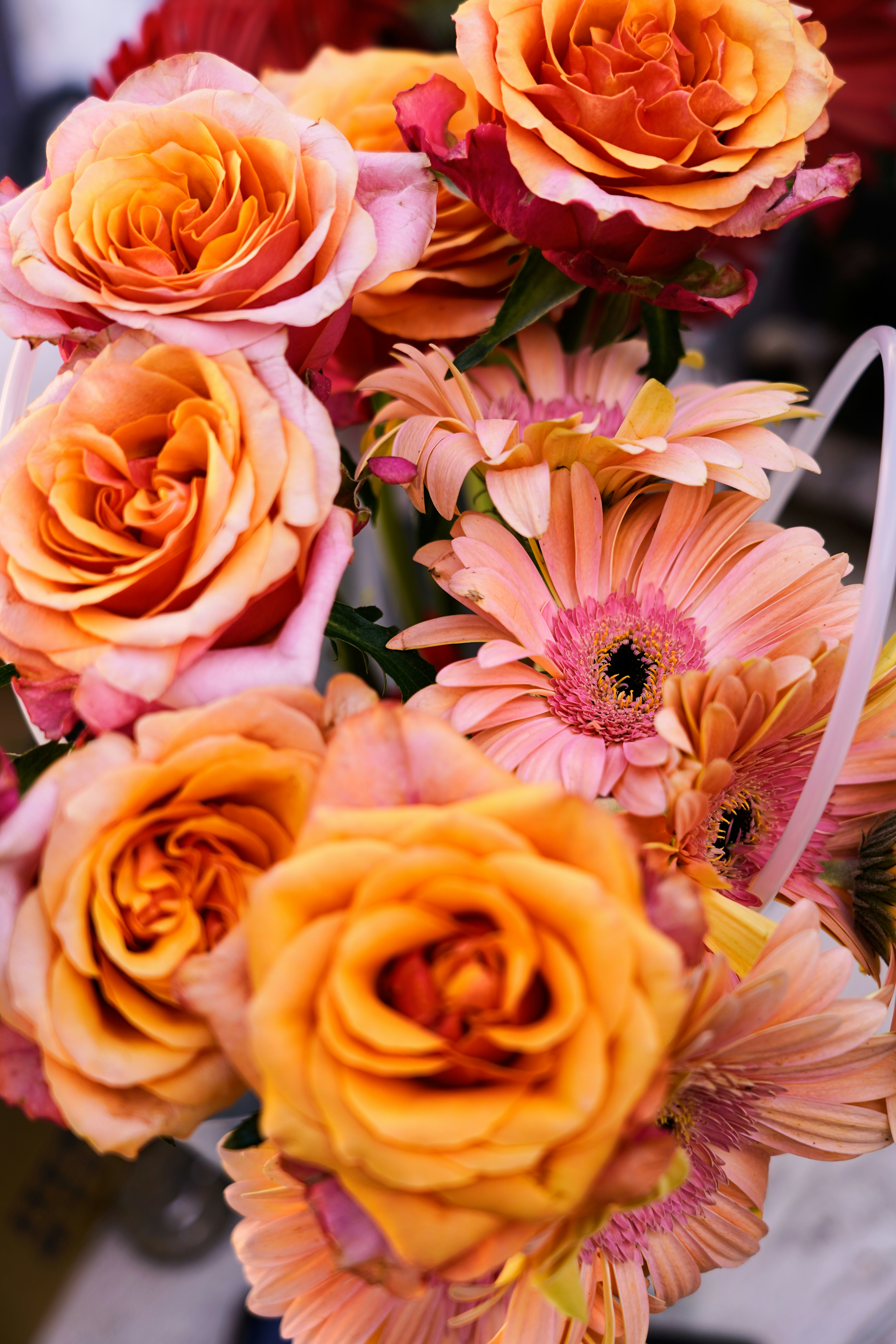 Peach-tinted Roses and Pink Gerberas in Velvet Bouquet