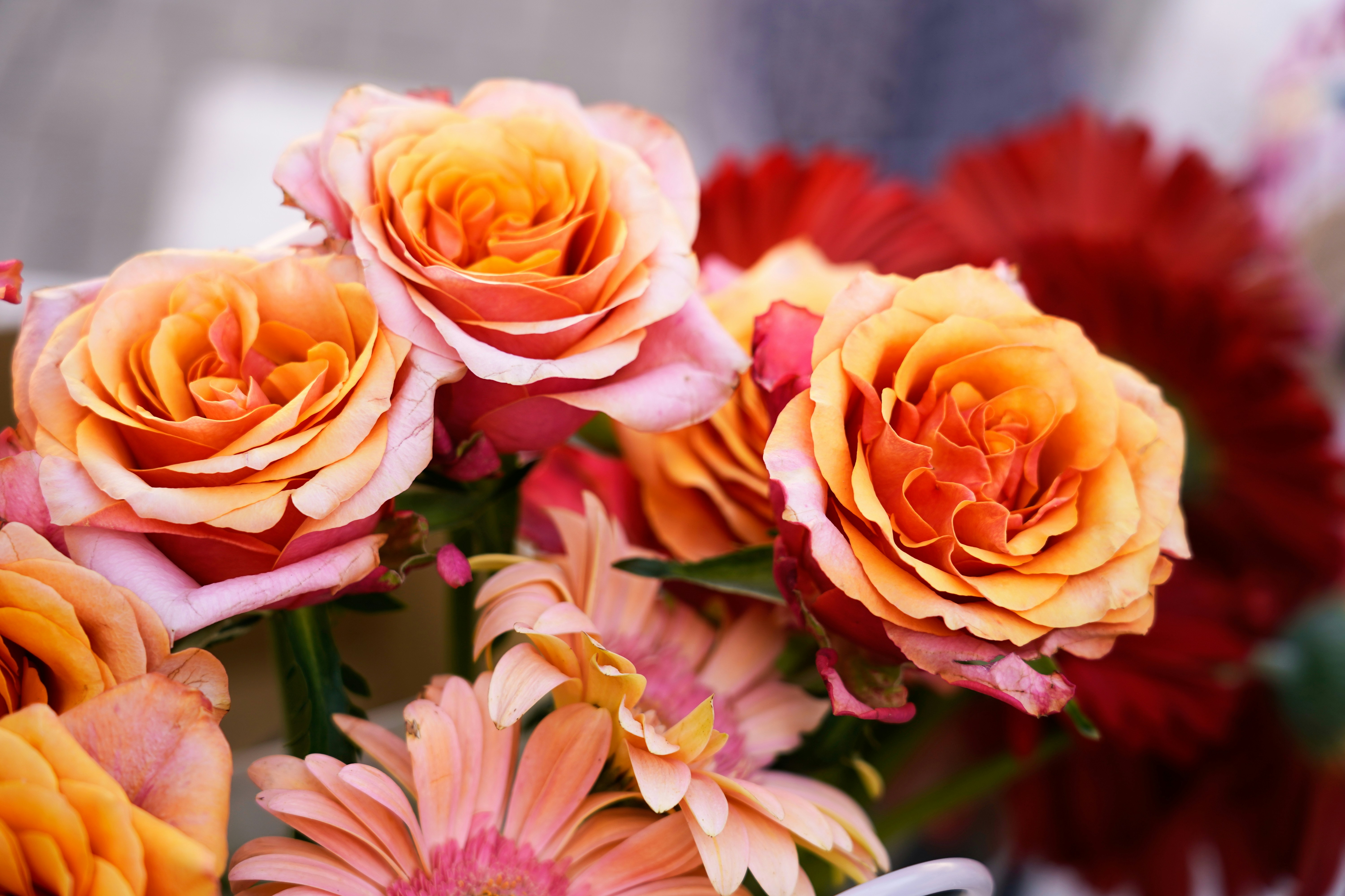 Warm-toned rose bouquet with peach gerbera daisies and red accents