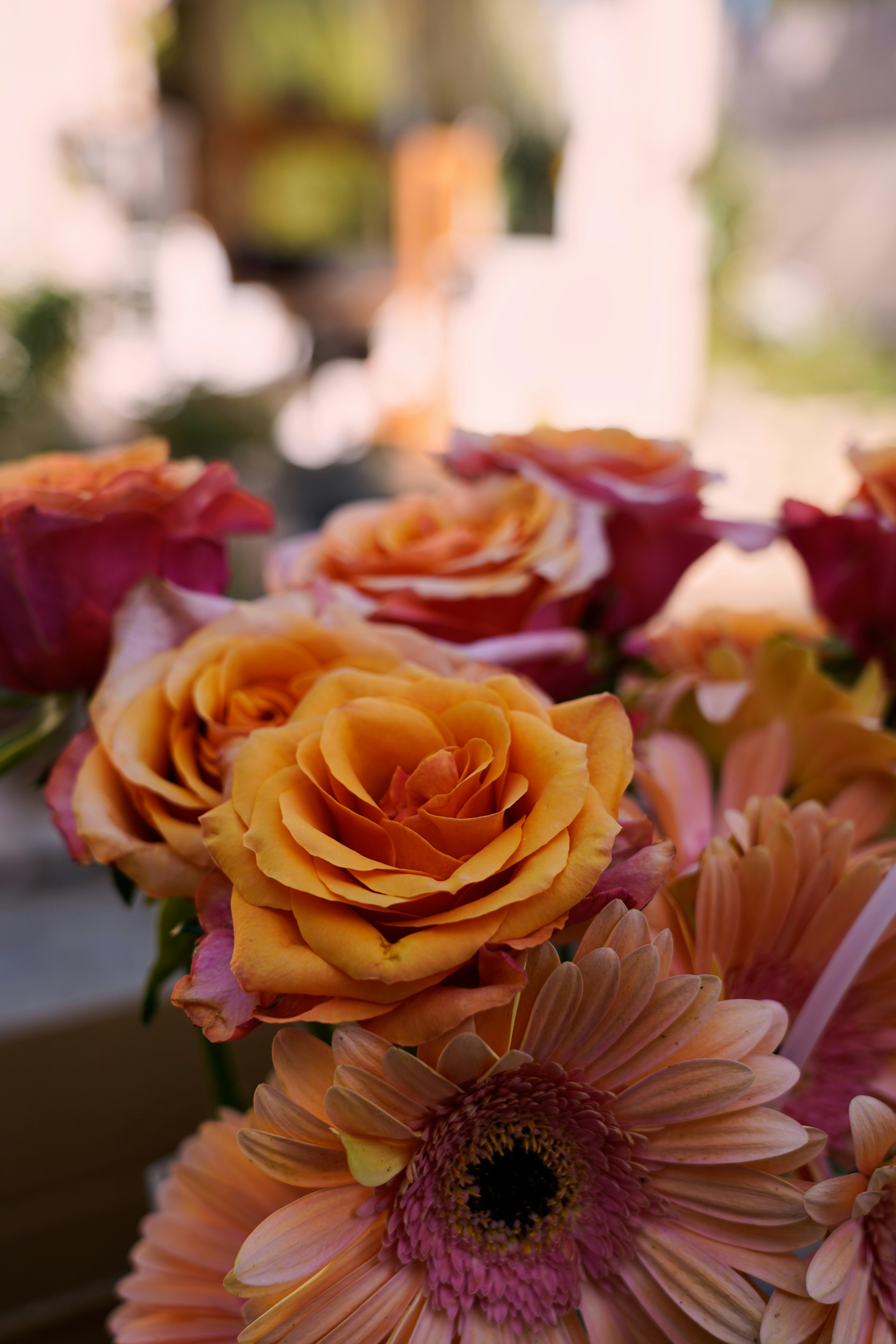 Golden Rose in Soft Blur: A Floral Cascade
