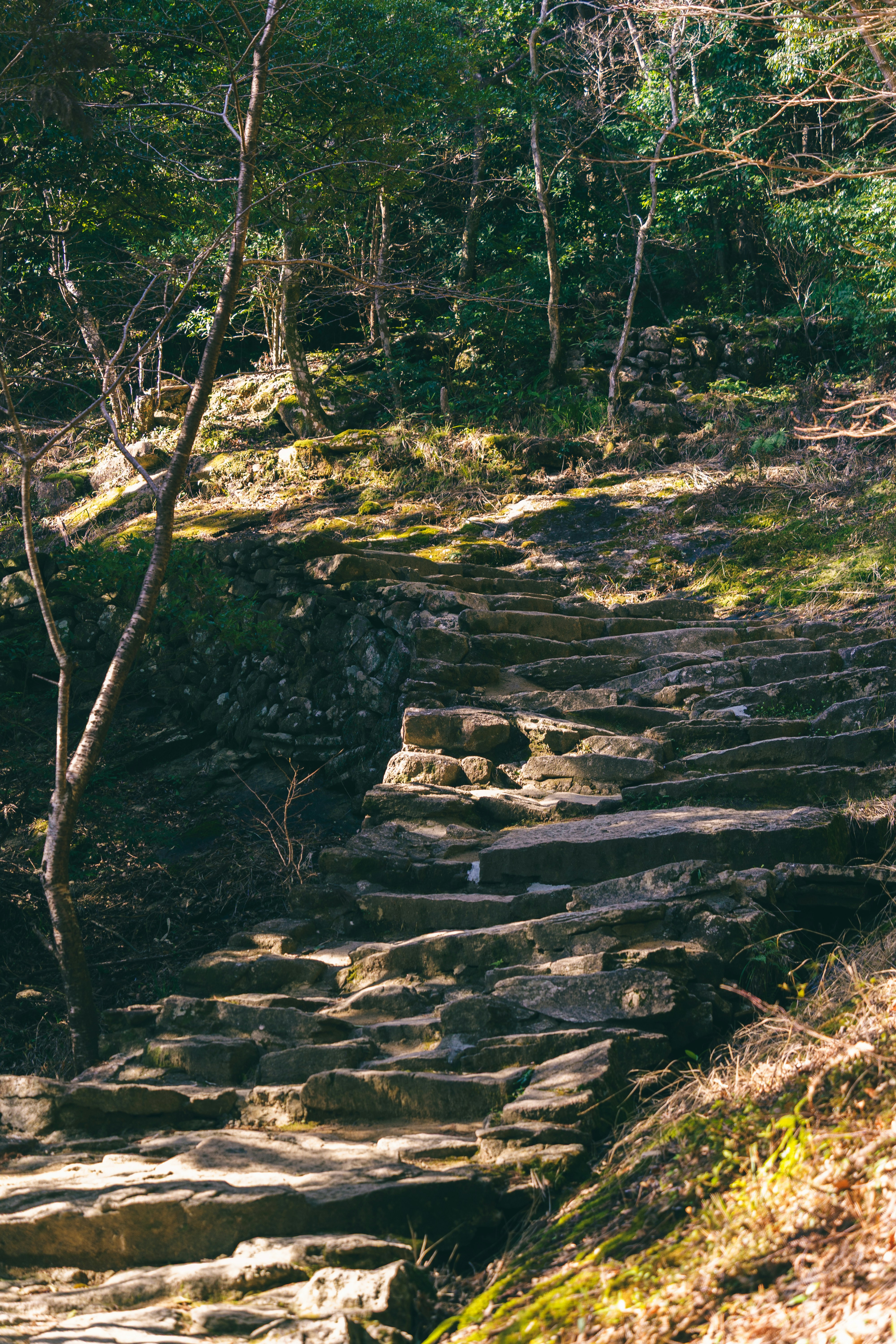 Sunlit stone steps wind uphill through a mossy forest, inviting a quiet climb along a natural carved path.