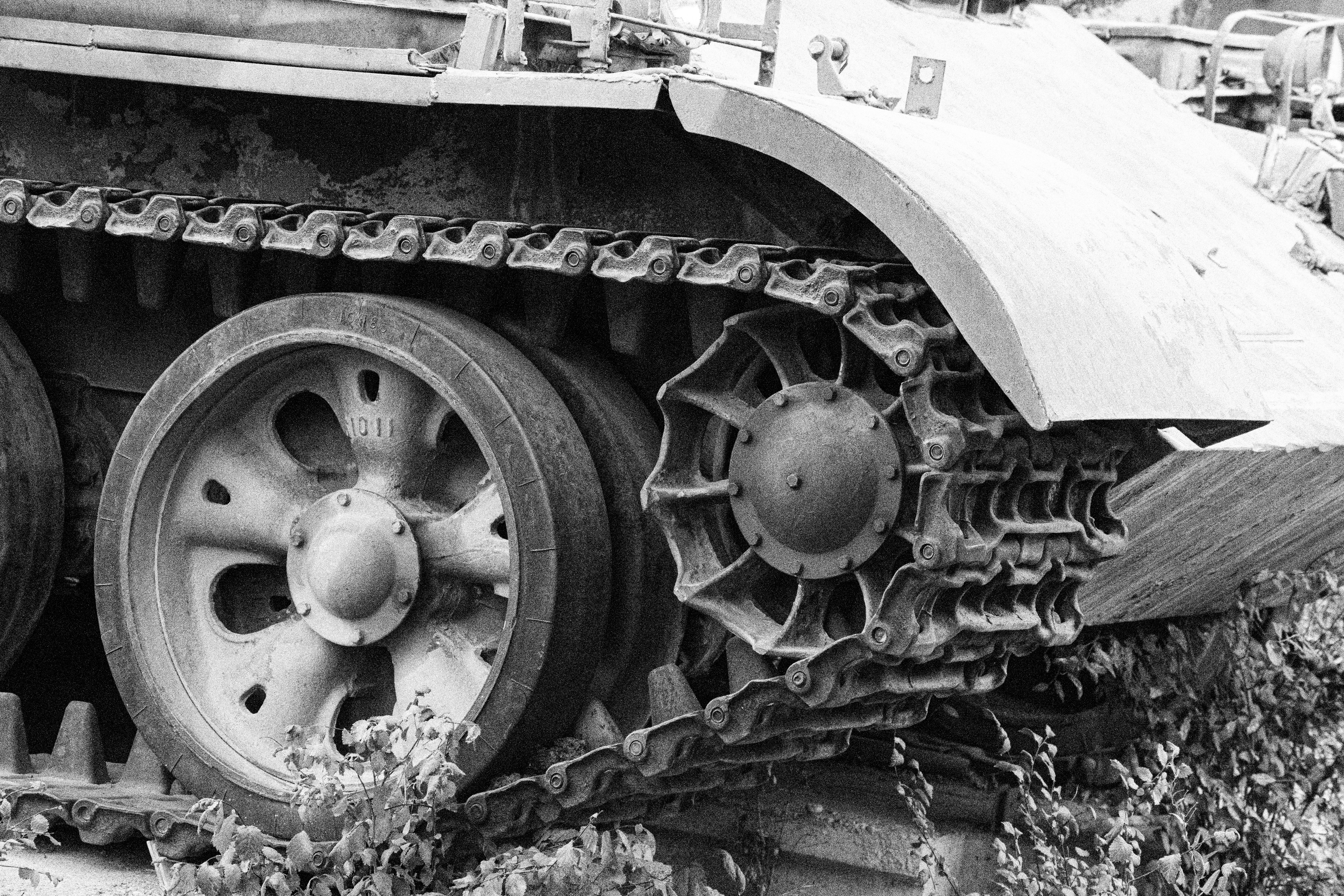 Iron Tracks in Quiet Grass: A Tank’s Quiet Moment