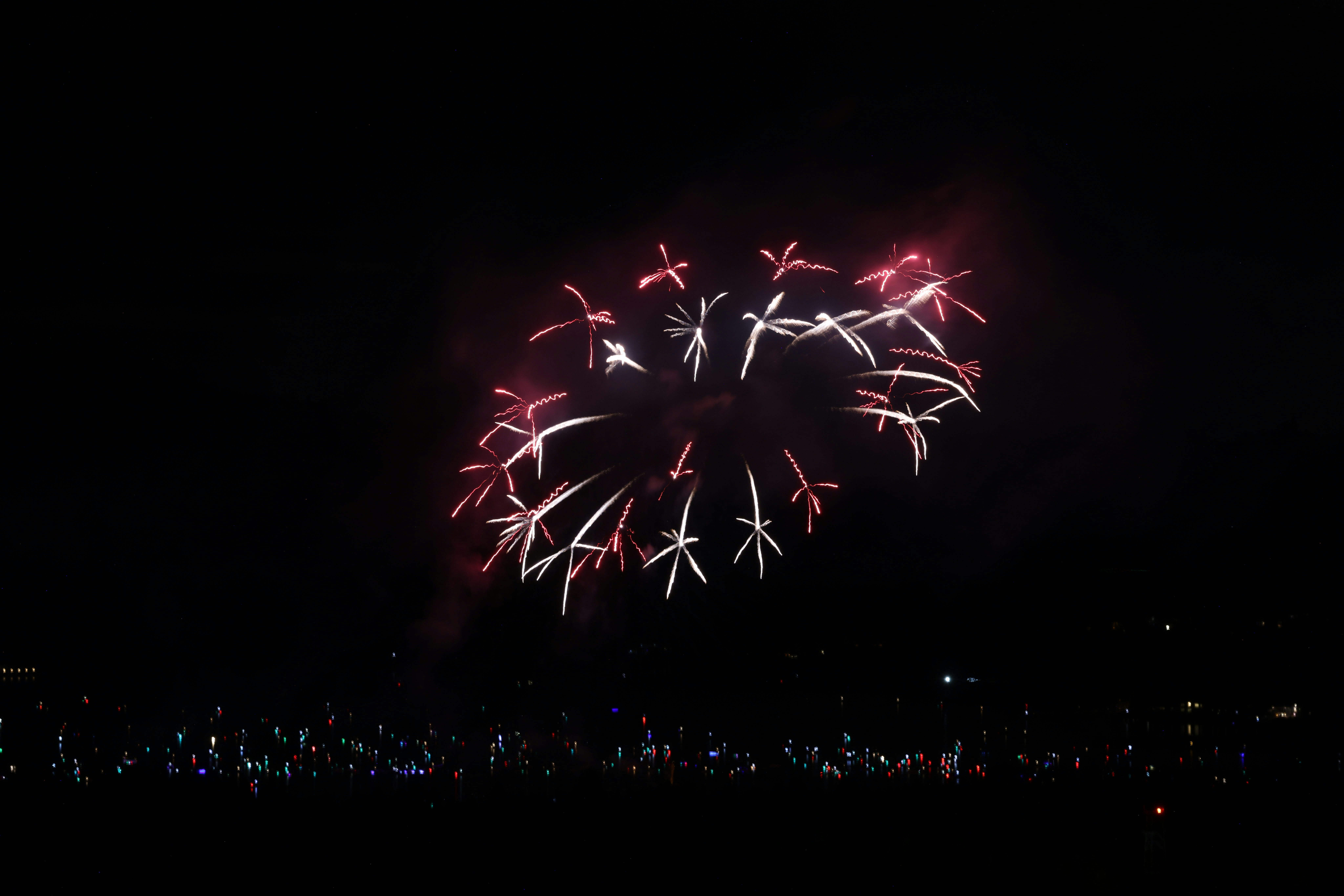 Night Sky Sparks: Firework Bloom Over a Sea of Tiny Lights
