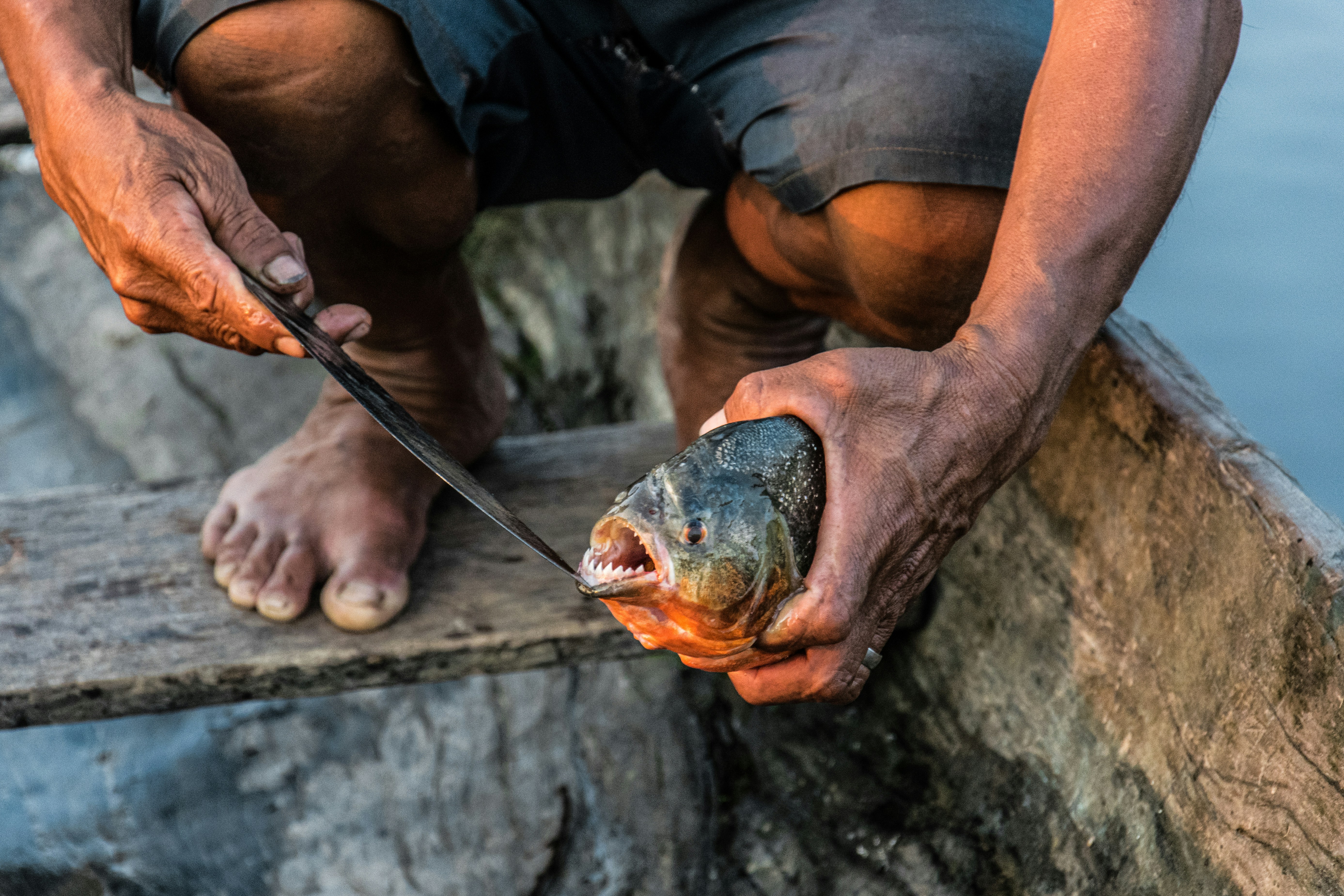 Rough Cut: A Fisherman Carving Respect from a Fresh Catch