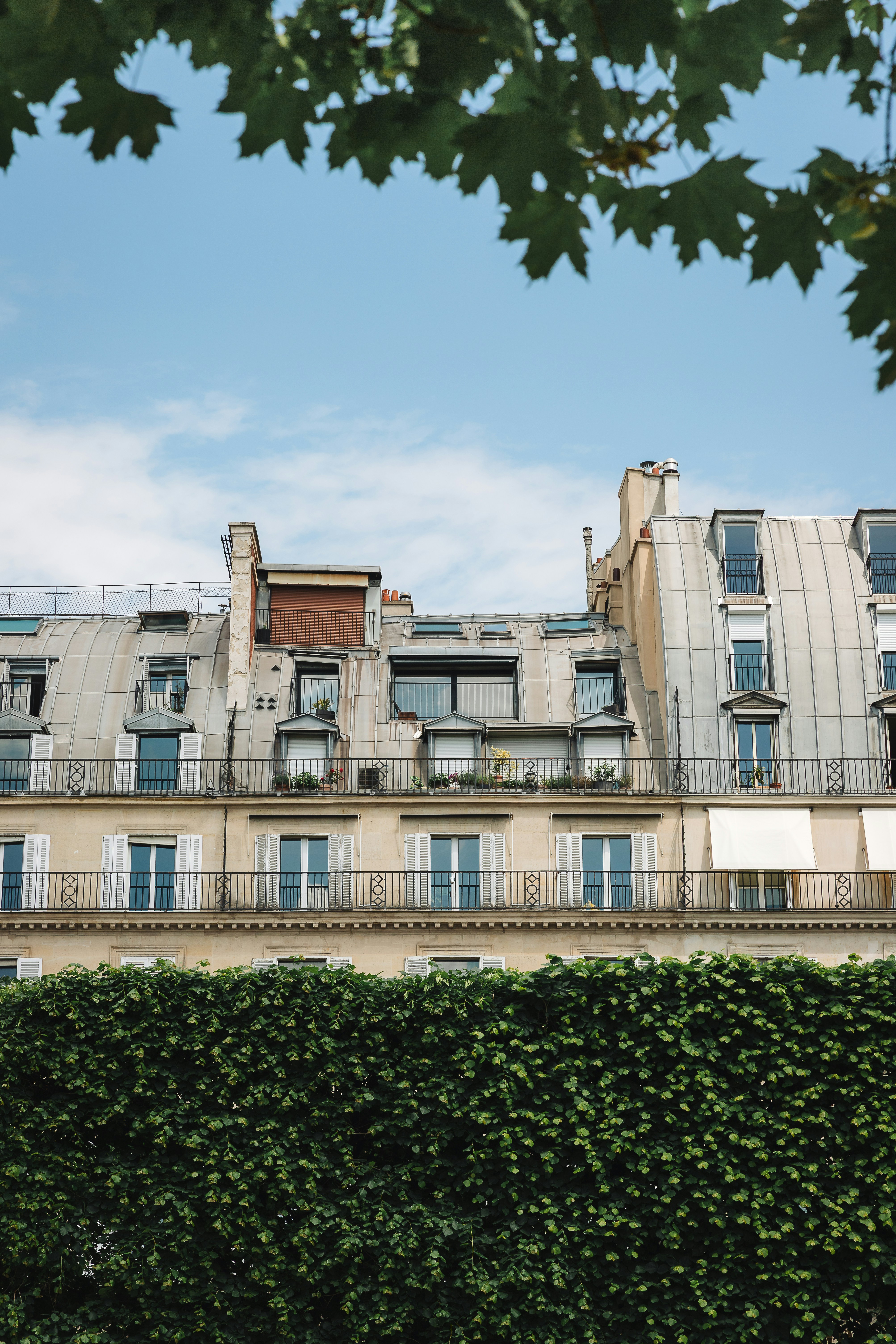 Urban Chateau: Facades Above a Sea of Green