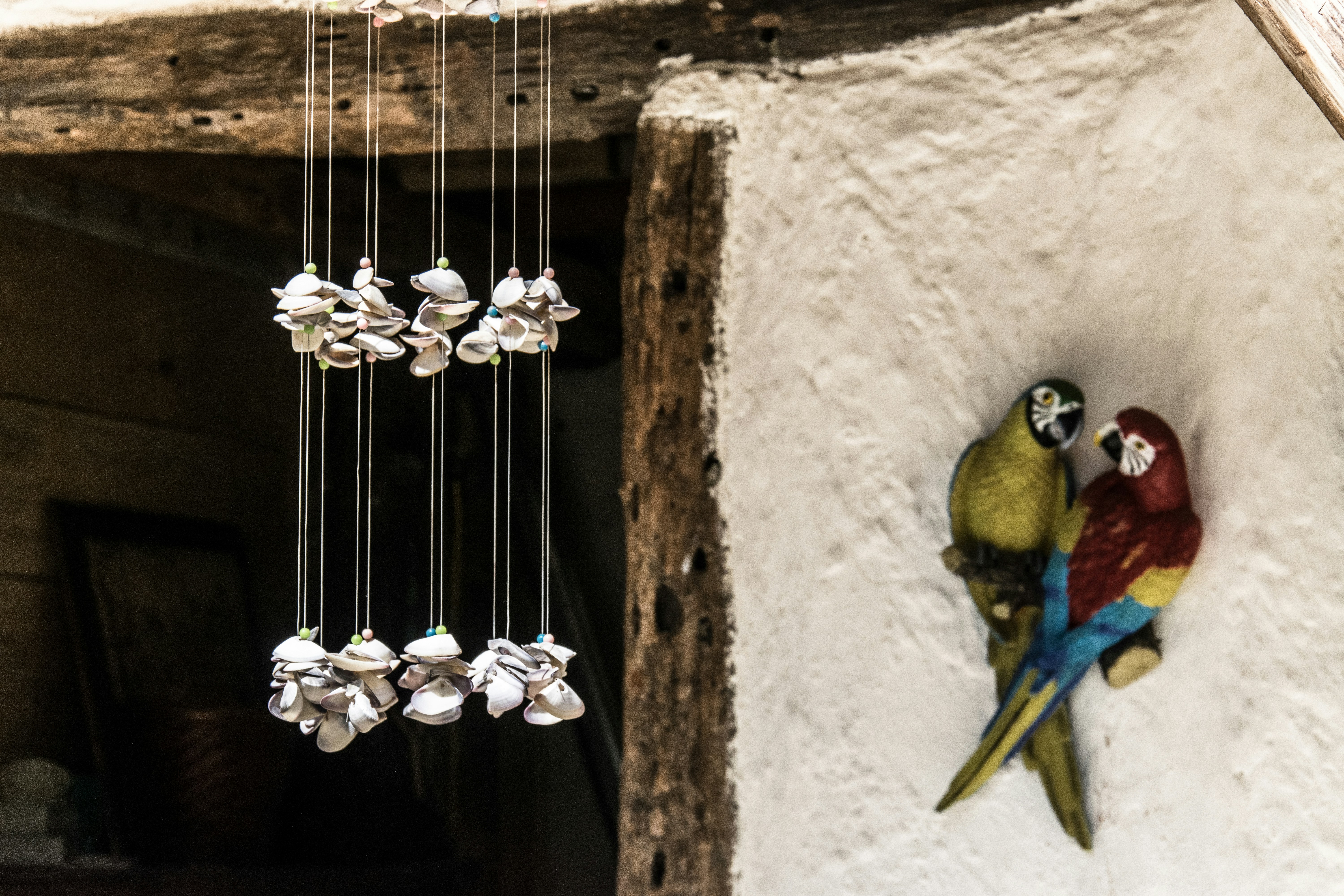 Hanging Bells and Parrot Duo in a Rustic Corner