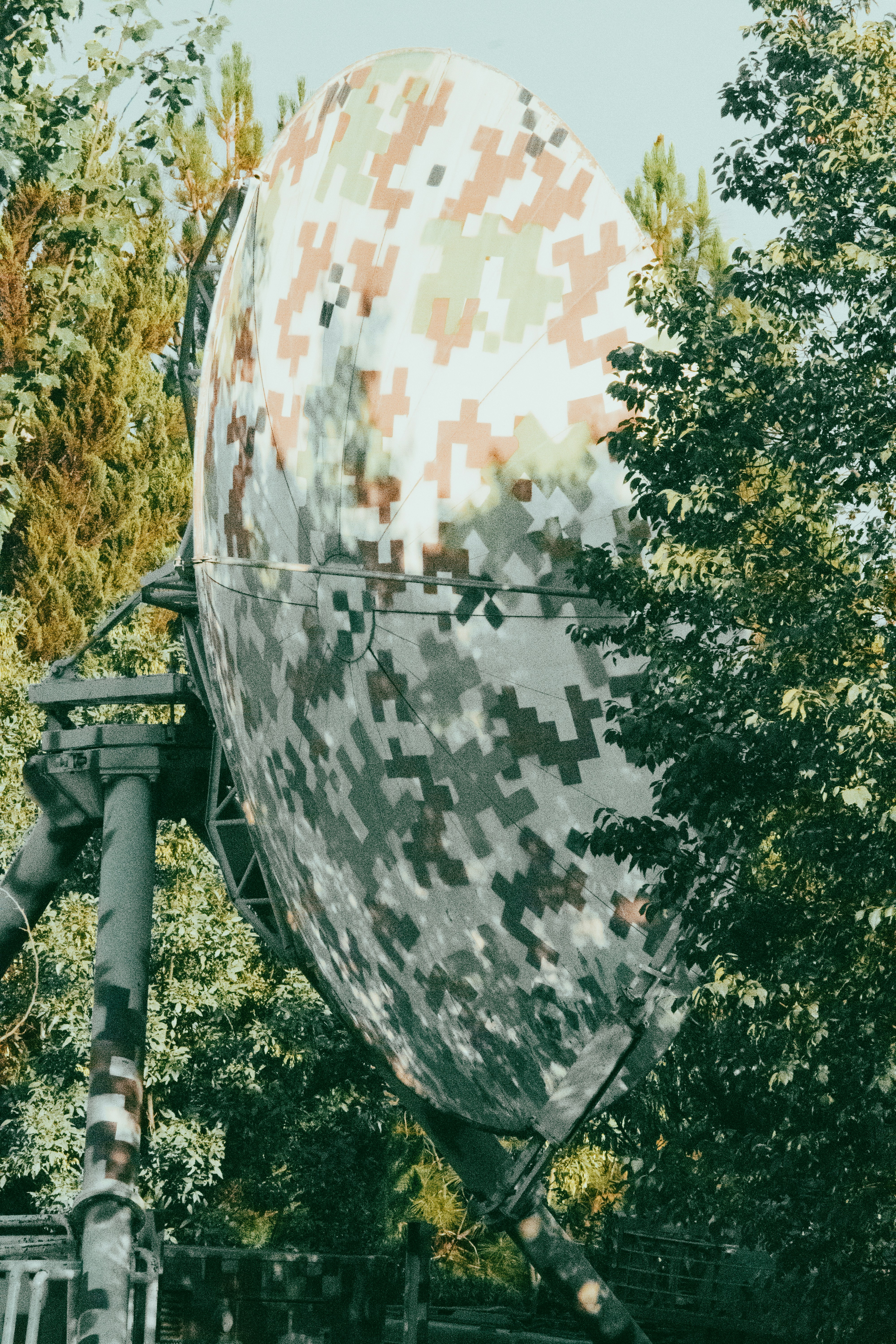 Masked Dish: a camouflaged satellite dish peeks through a leafy frame