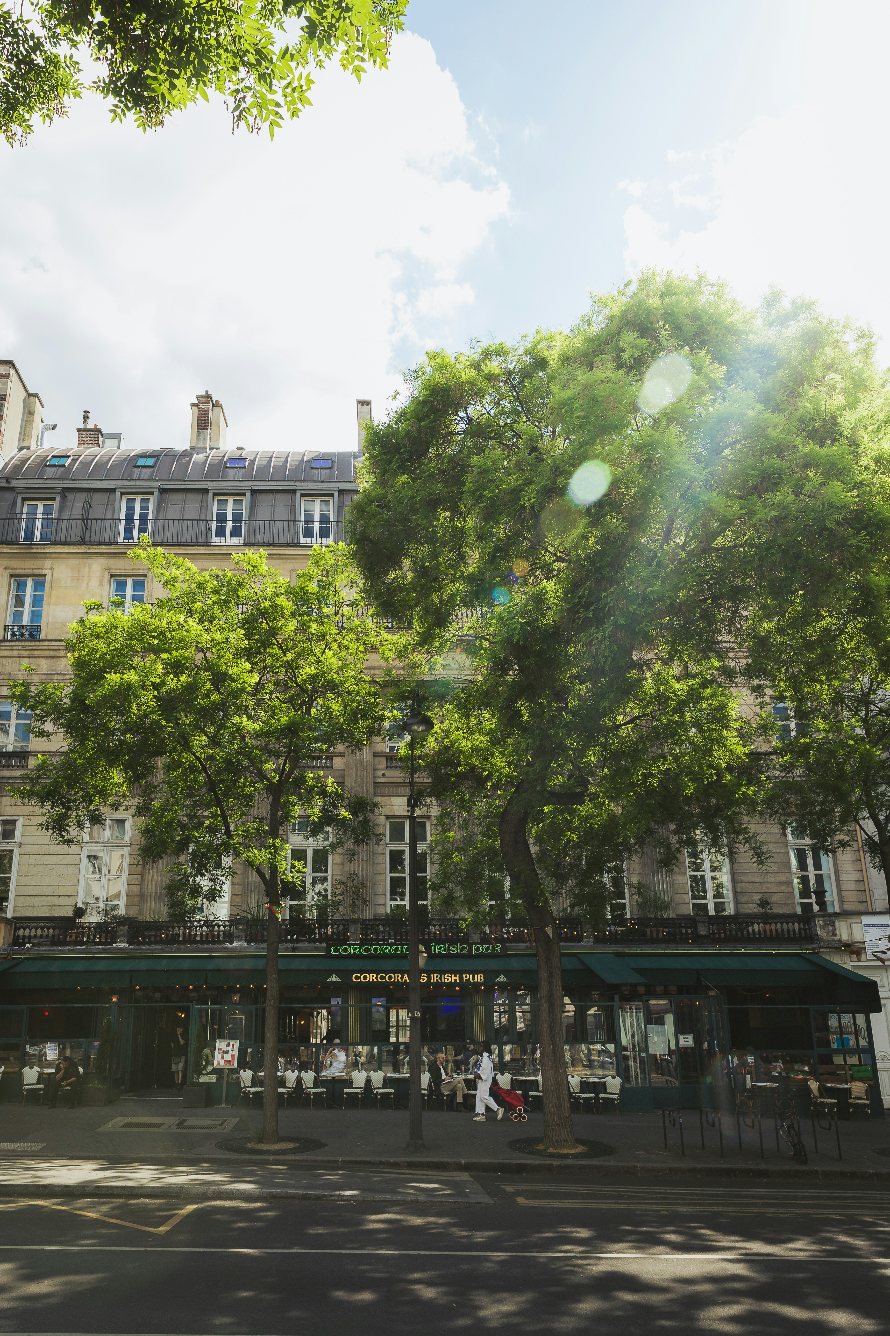 Sunlit Parisian Street: Trees, Cafe, and Facade Beneath a Clear Sky